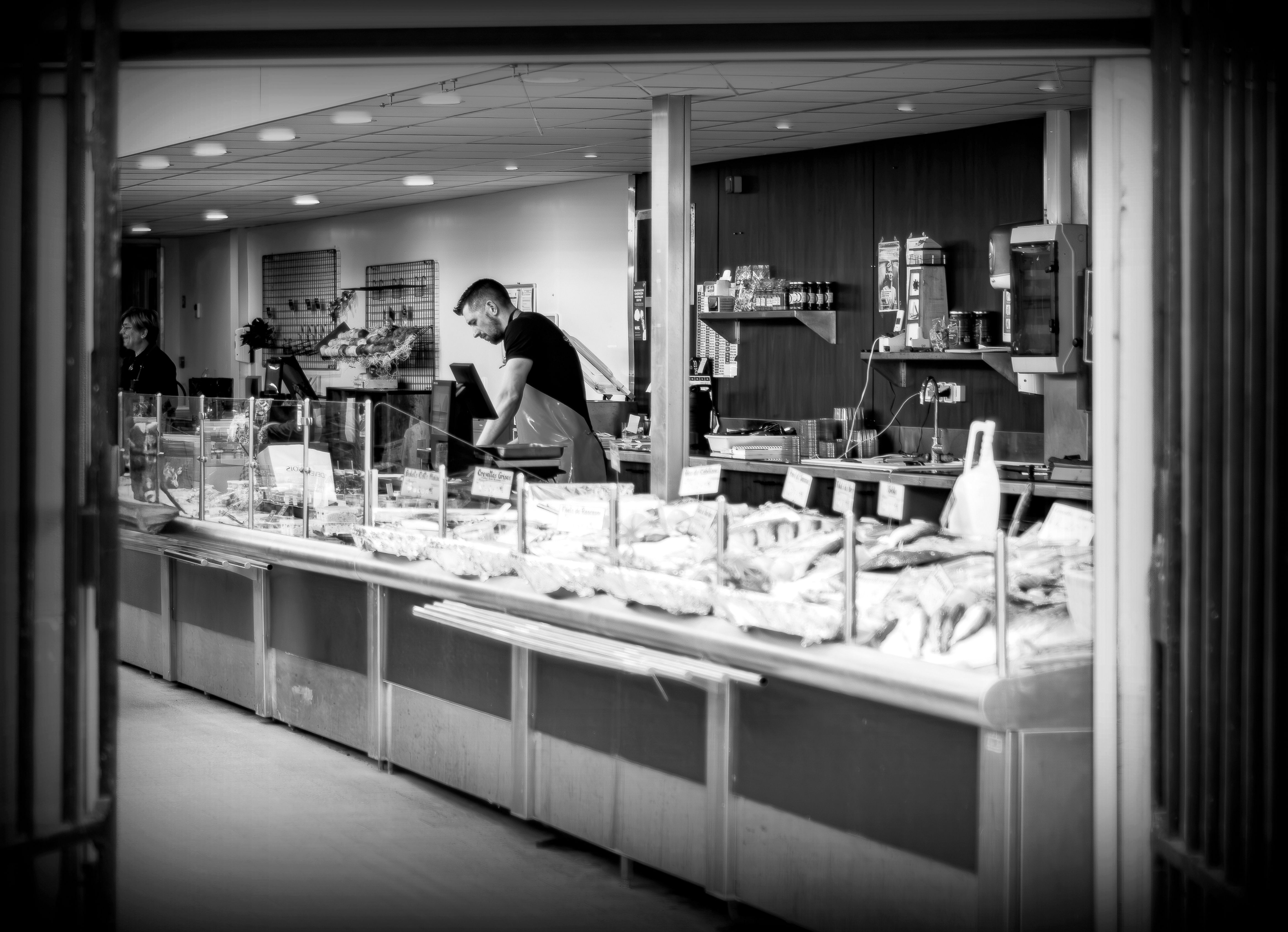Black and White Fish Market Scene Indoors · Free Stock Photo