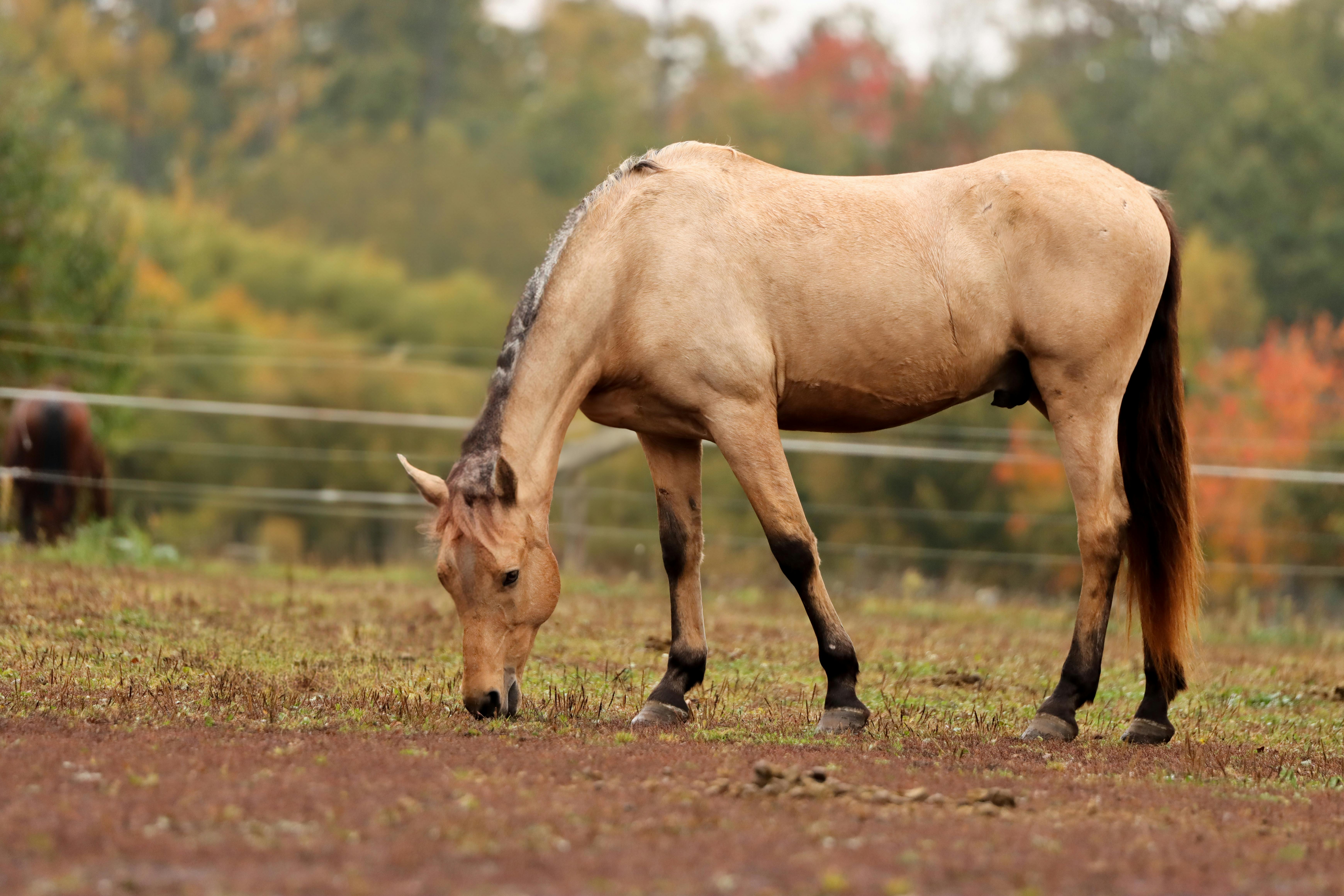 Nisarg+Chitra+Photo Photos, Download The BEST Free Nisarg+Chitra+Photo ...