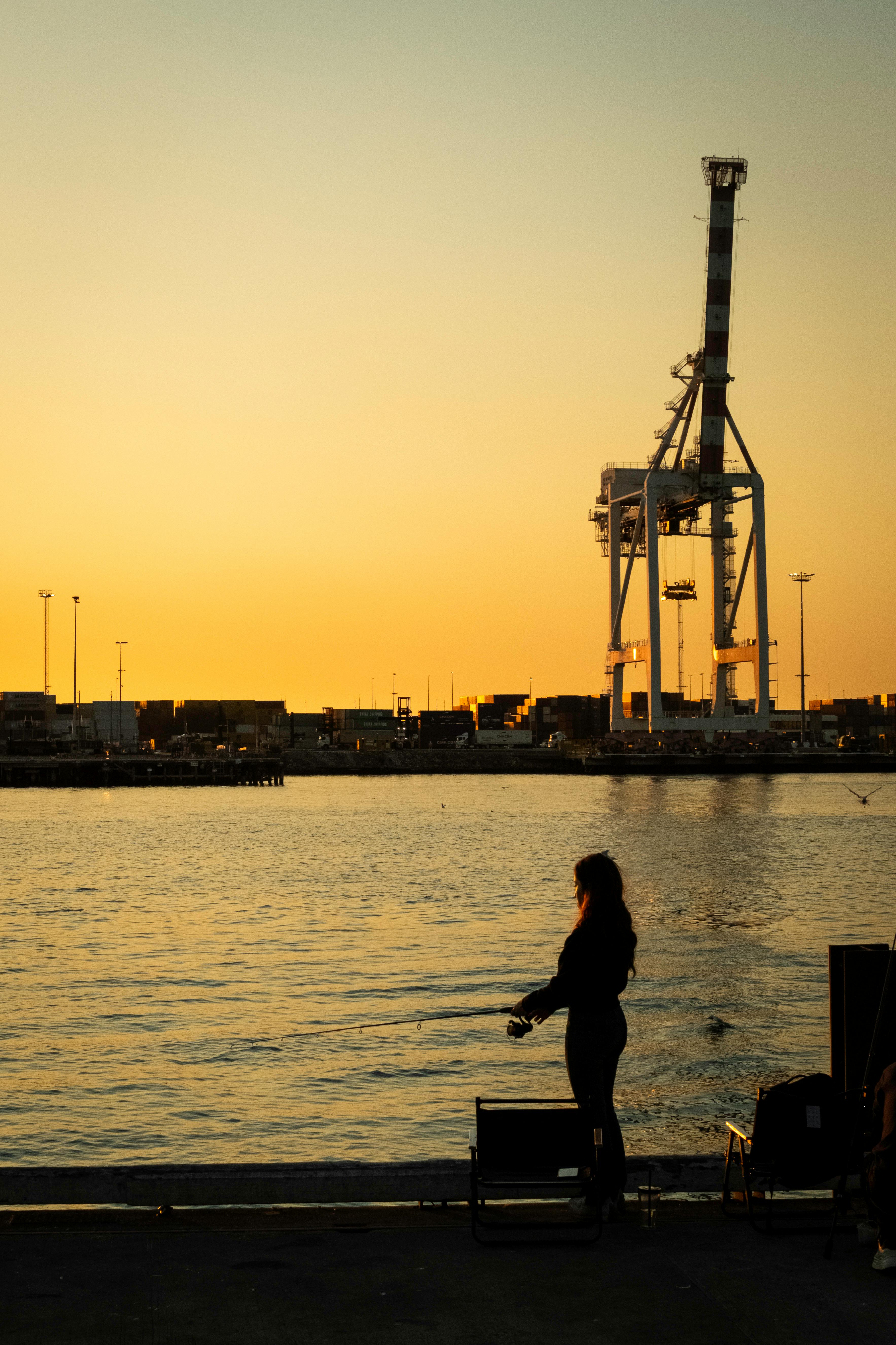 Trade Silhouette Photos, Download The BEST Free Trade Silhouette Stock ...