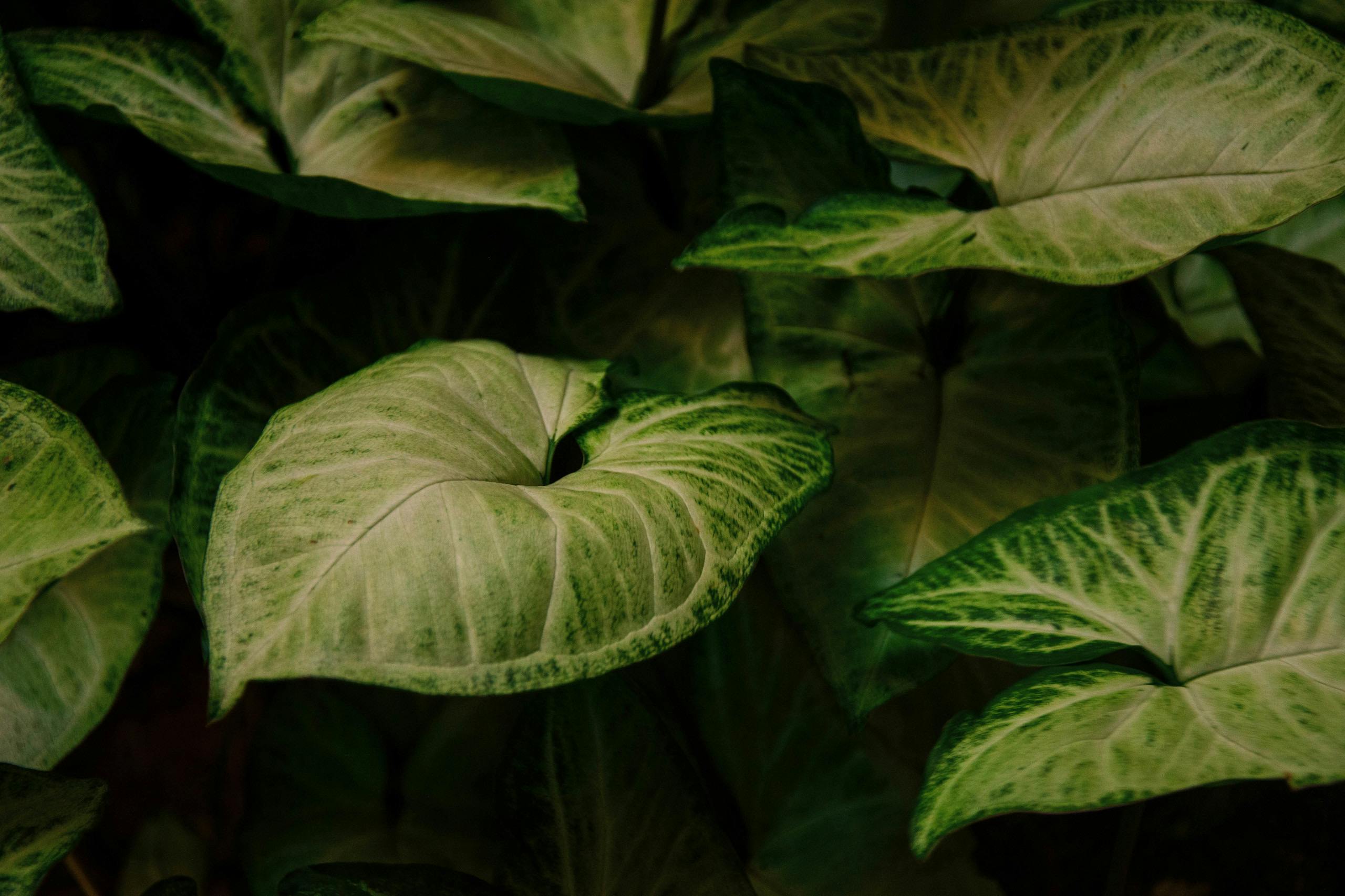 Conclusion Photo Photos, Download The BEST Free Conclusion Photo Stock ...