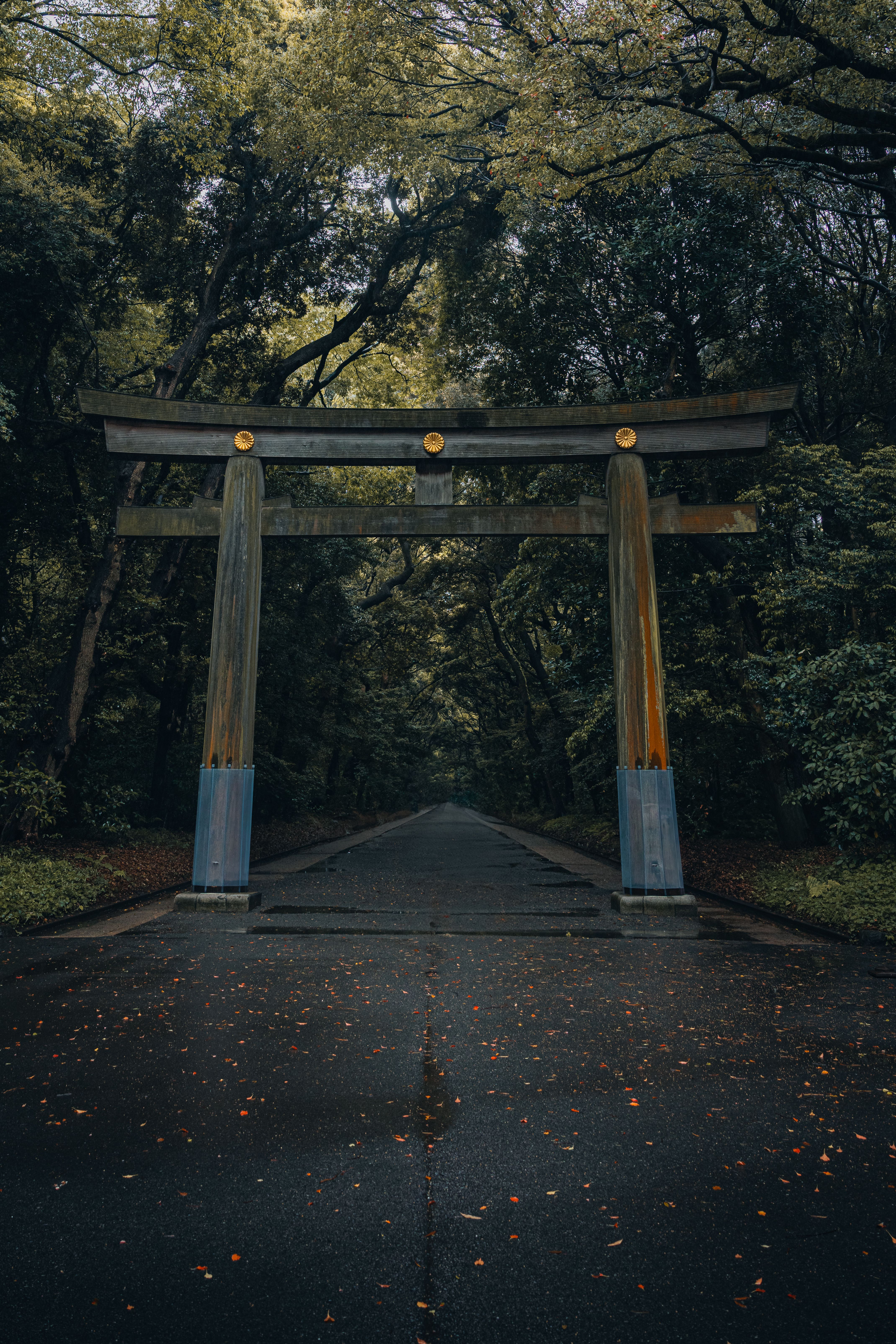 Serene Forest Path with Traditional Torii Gate · Free Stock Photo