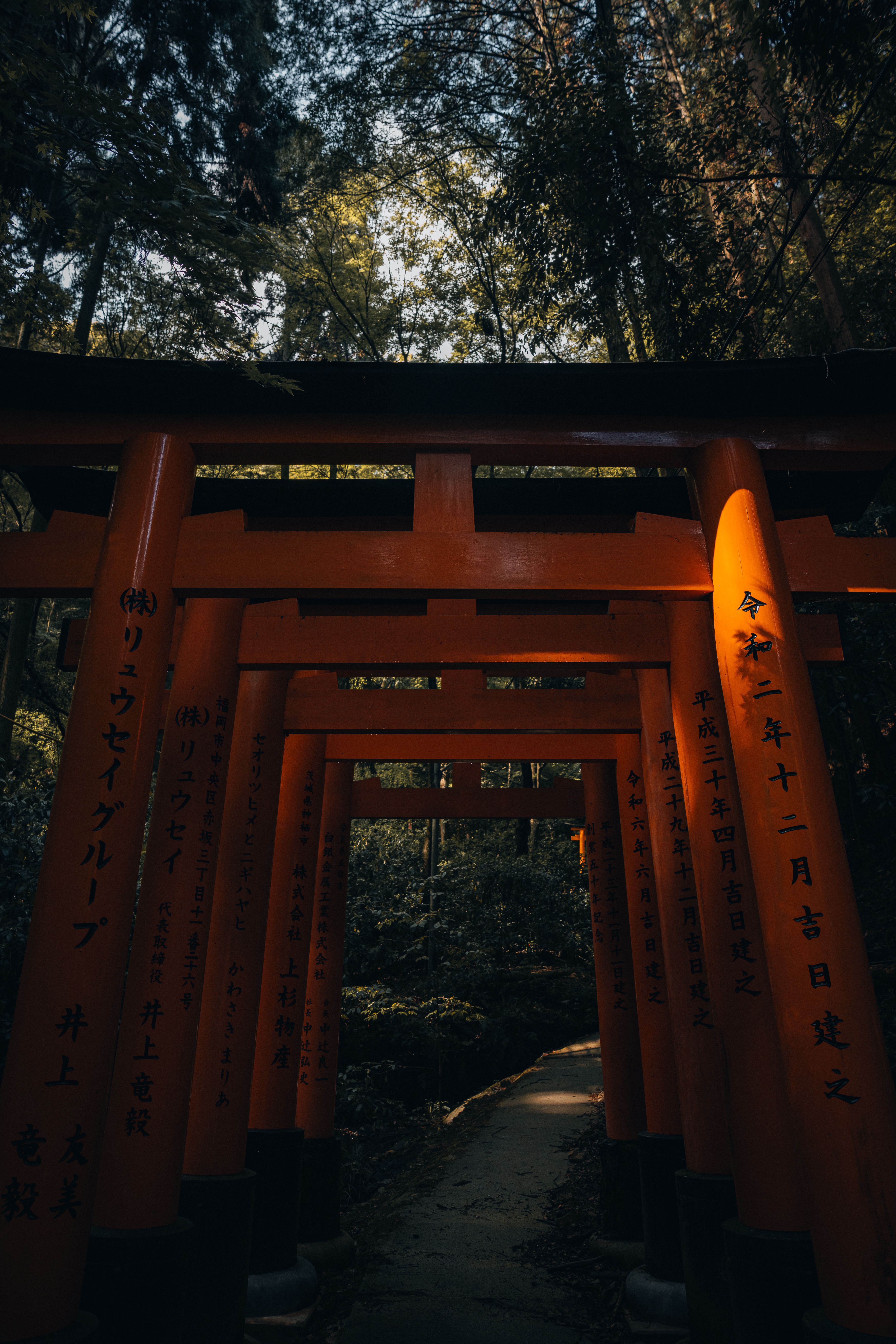 Serene Path Through Iconic Red Torii Gates · Free Stock Photo