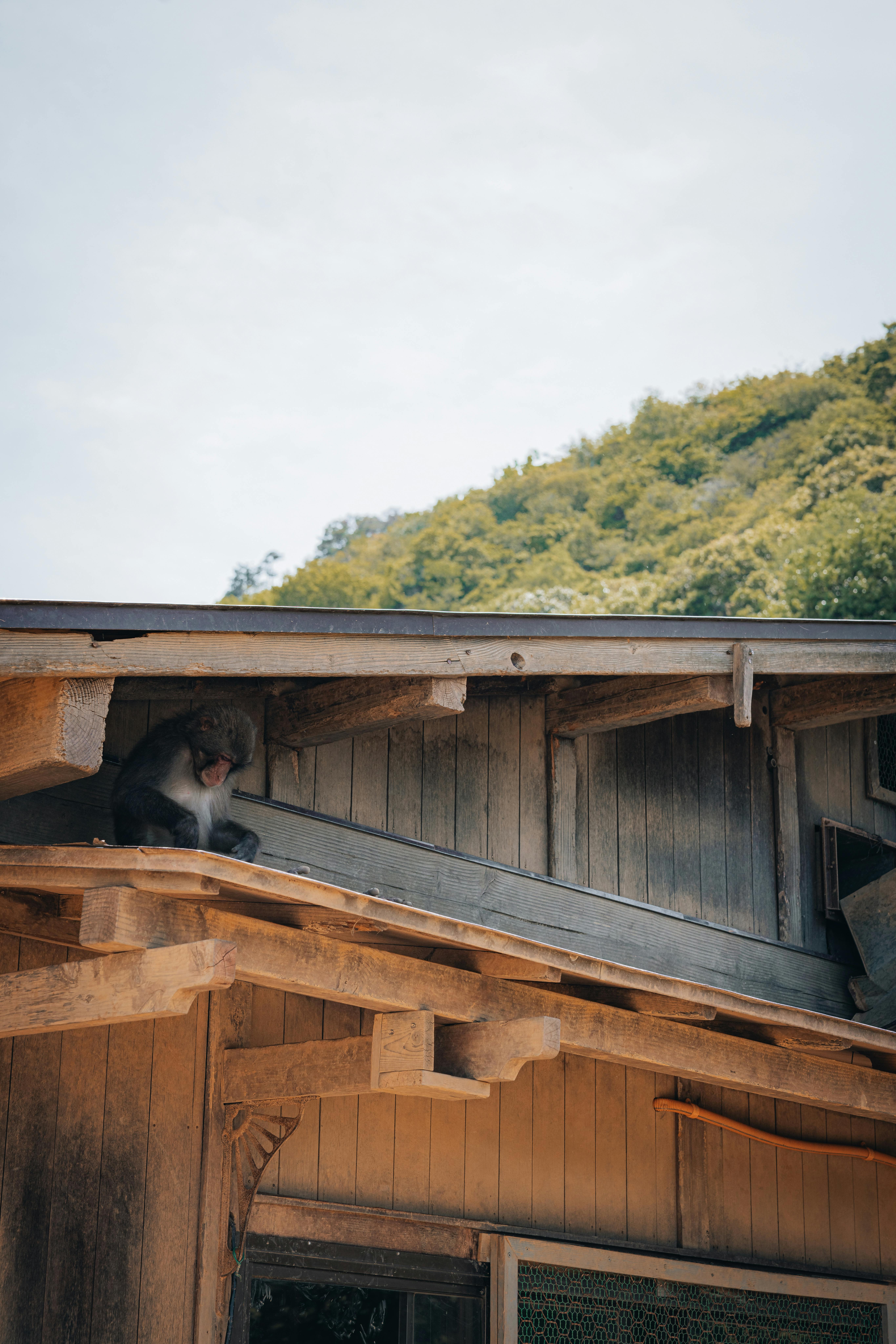 Isaac Mitchell - 摄影