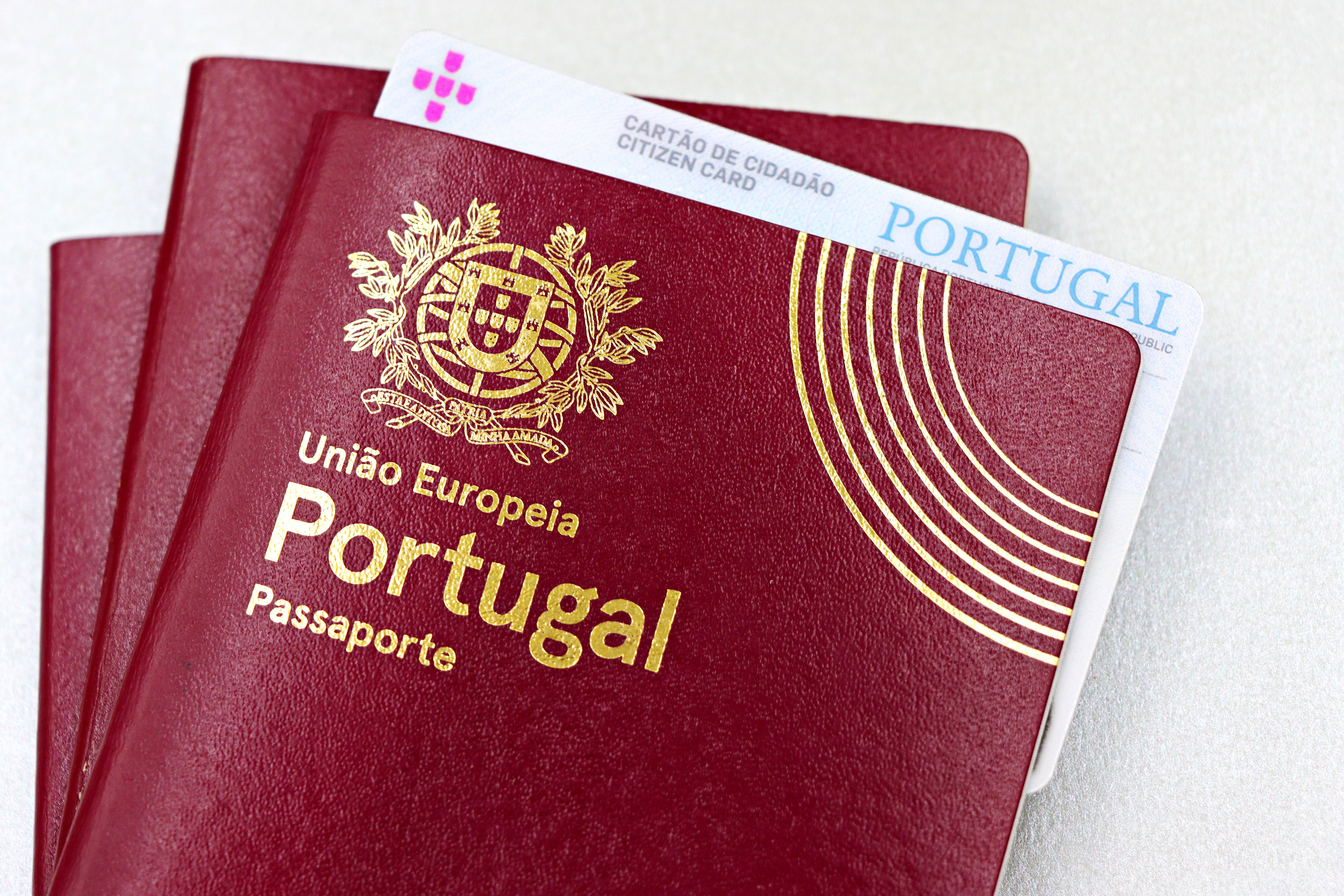 Id Photos, Download The BEST Free Id Stock Photos & HD Images