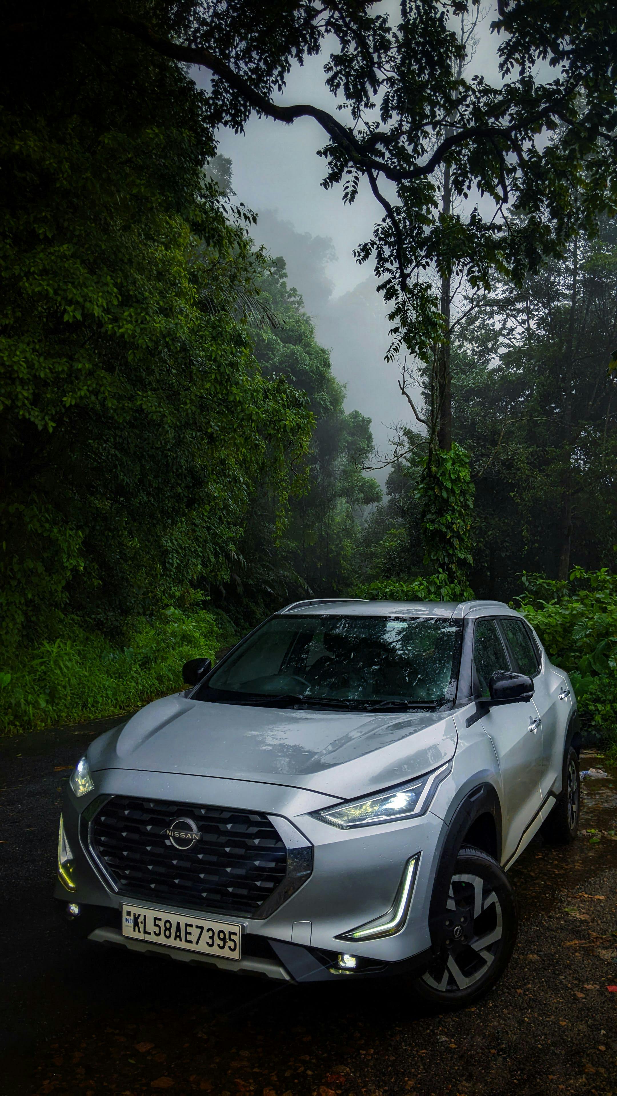 Sourav P V - Photography