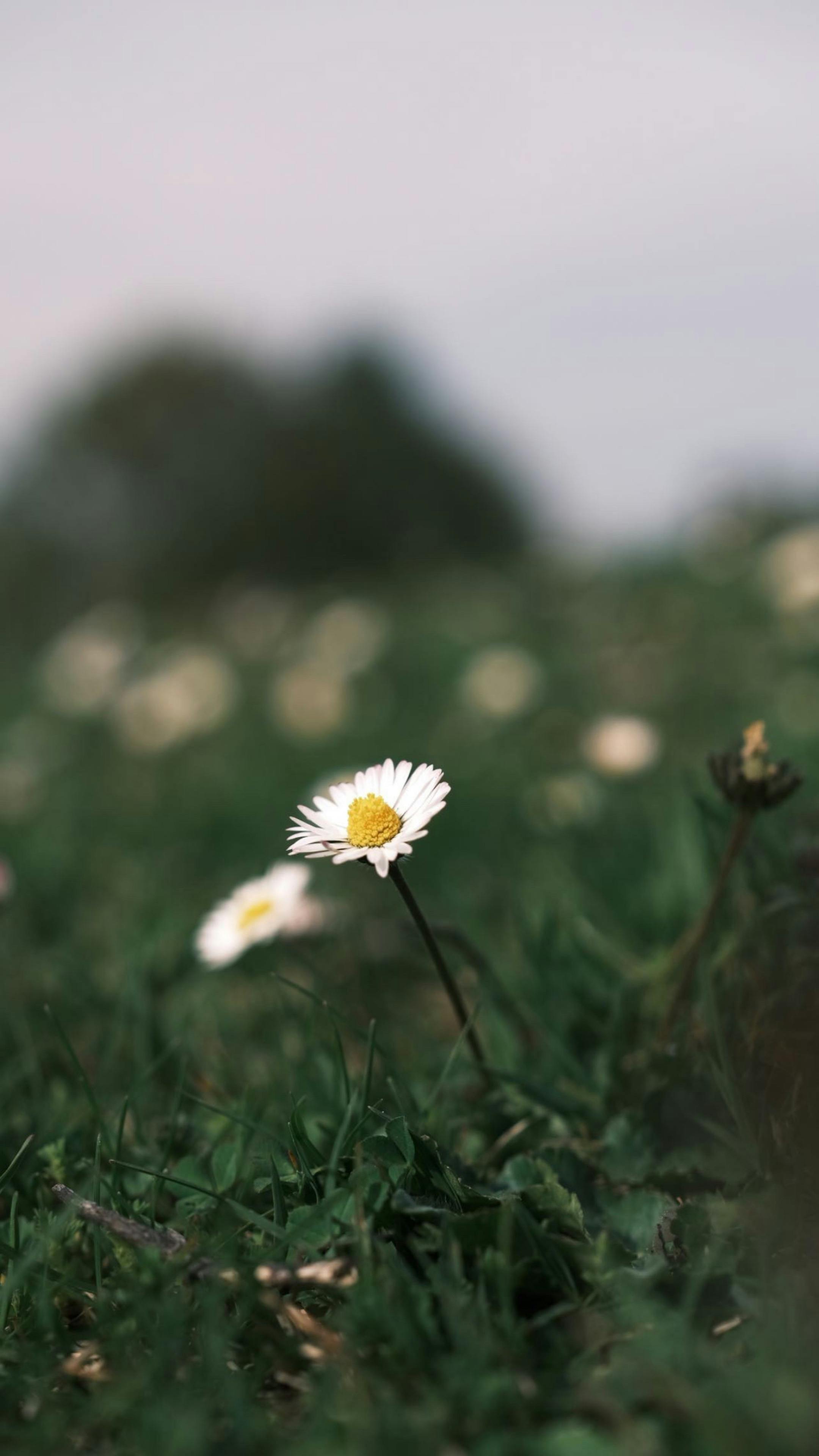 Viber Background Photos, Download The BEST Free Viber Background Stock ...