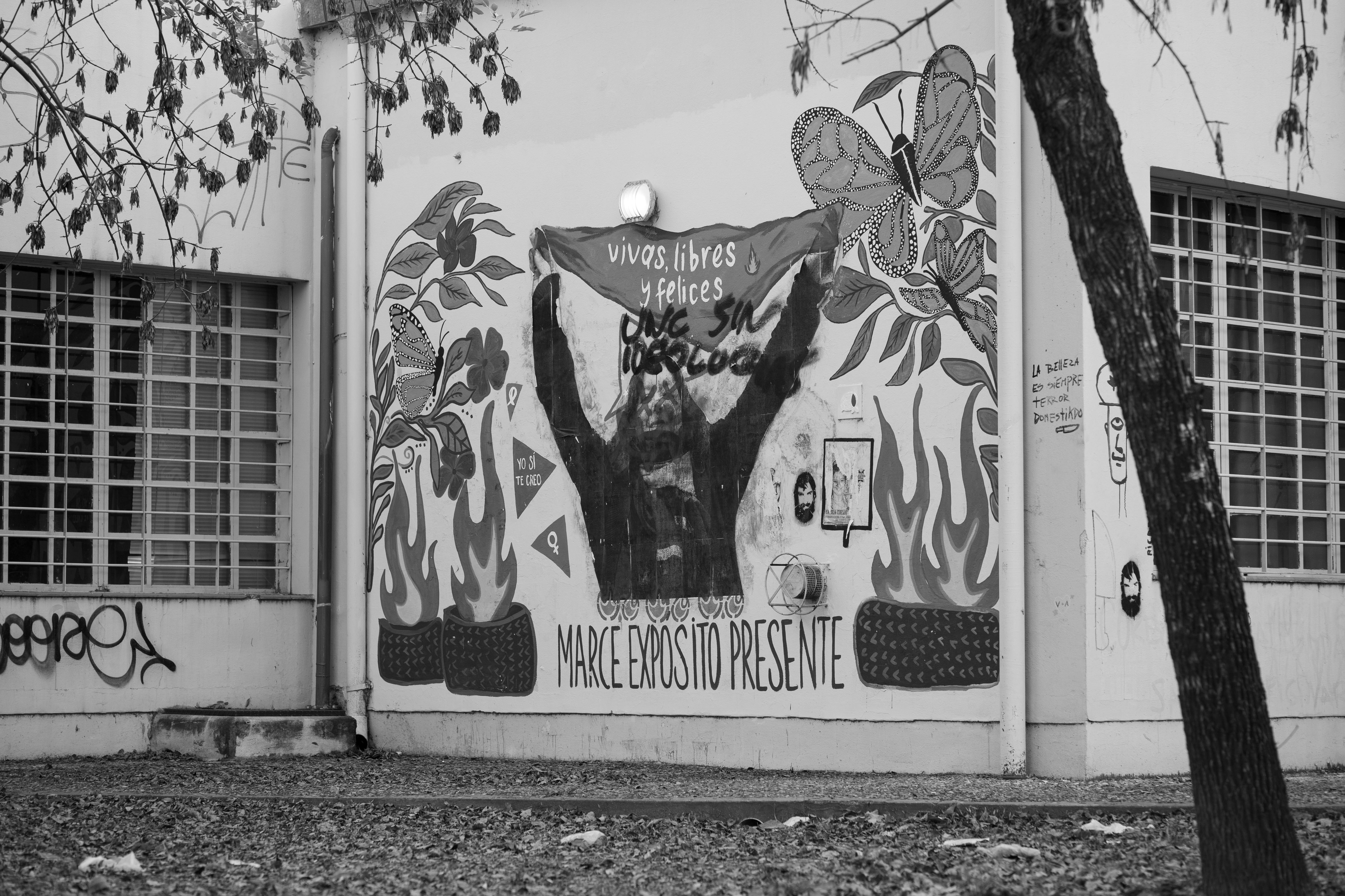 Marcelo Photos, Download The BEST Free Marcelo Stock Photos & HD Images