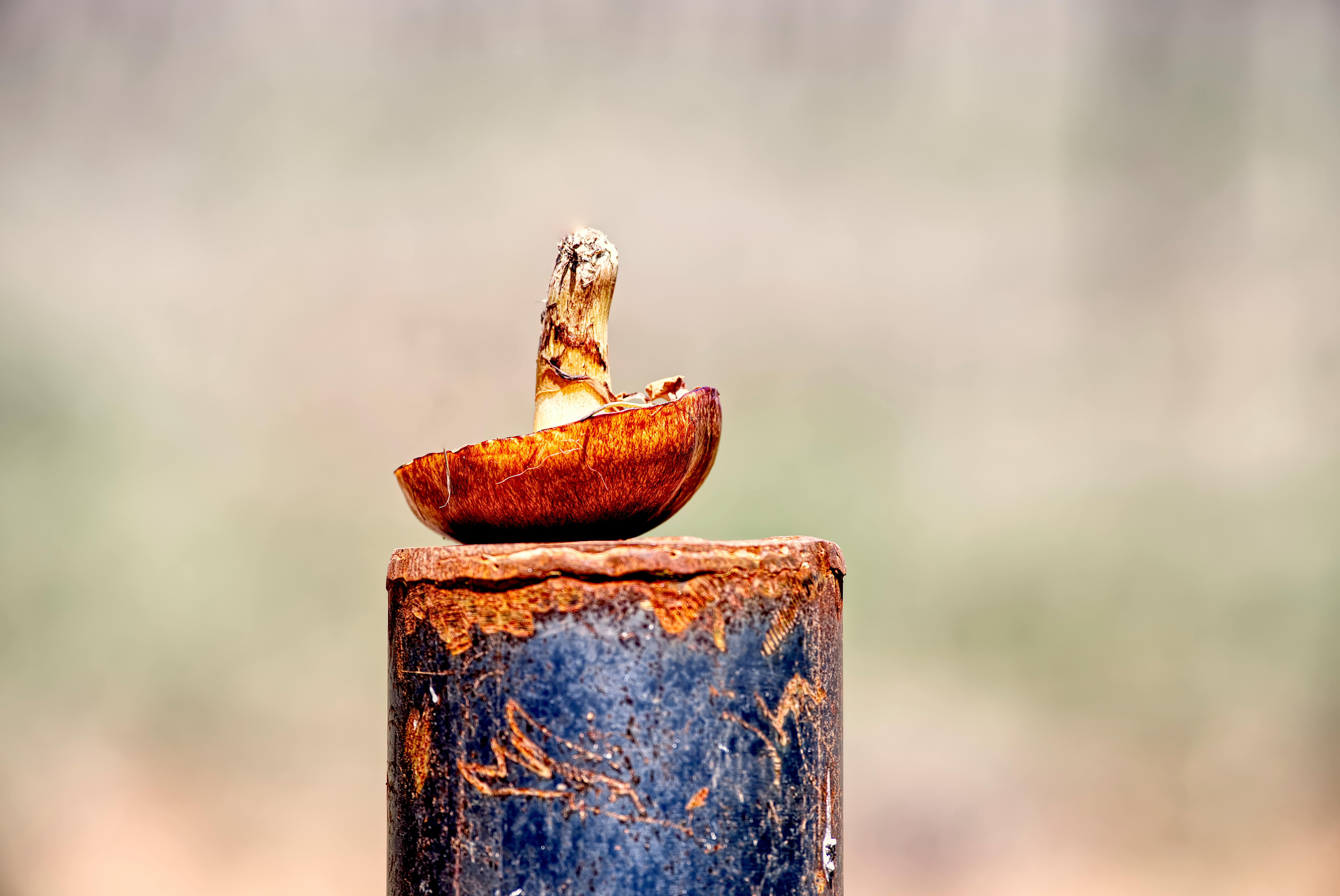 Metal Rust Texture Photos, Download The BEST Free Metal Rust Texture ...