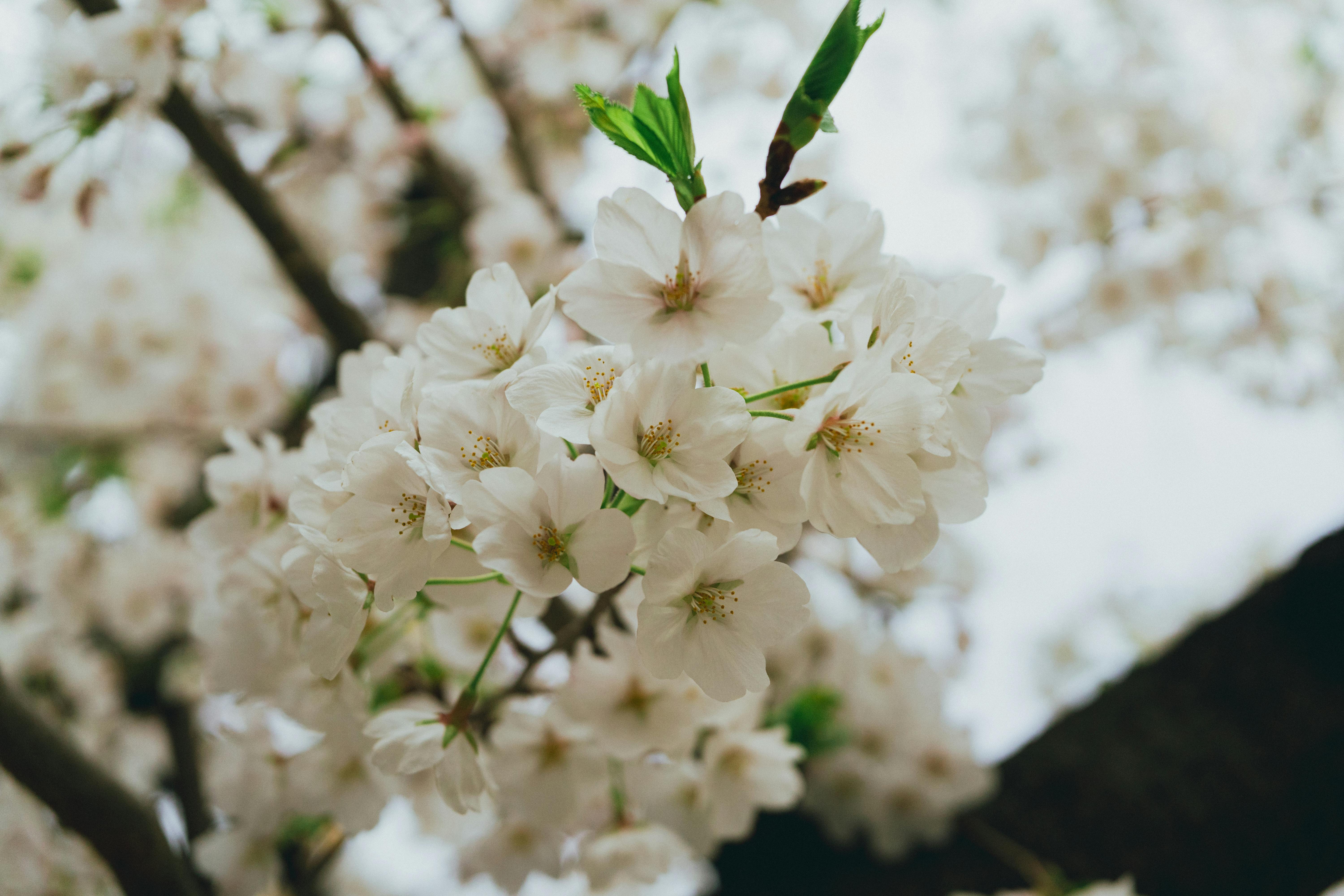 Hyte+Y70+Wallpapers Photos, Download The BEST Free Hyte+Y70+Wallpapers ...