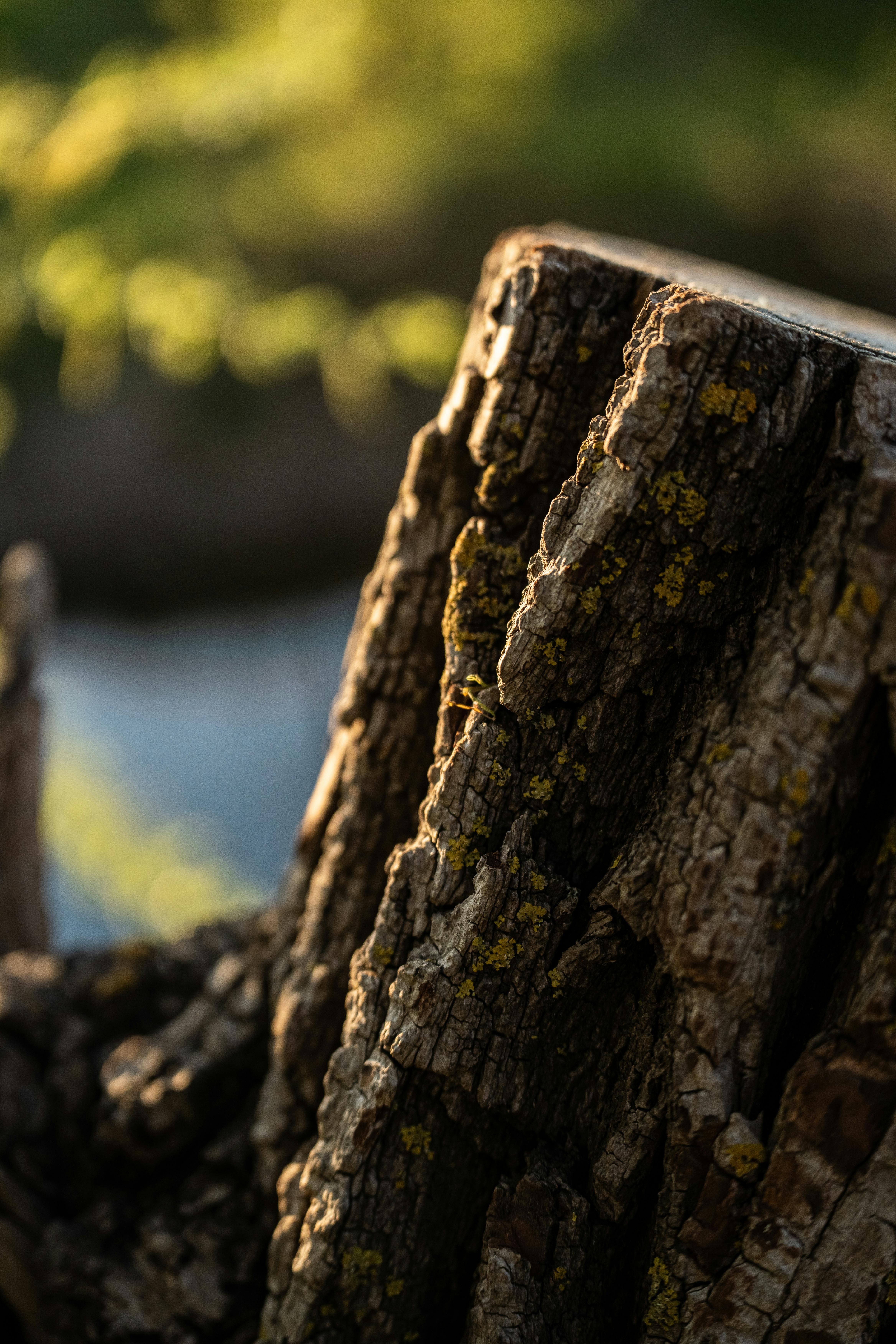 Viber Background Photos, Download The BEST Free Viber Background Stock ...