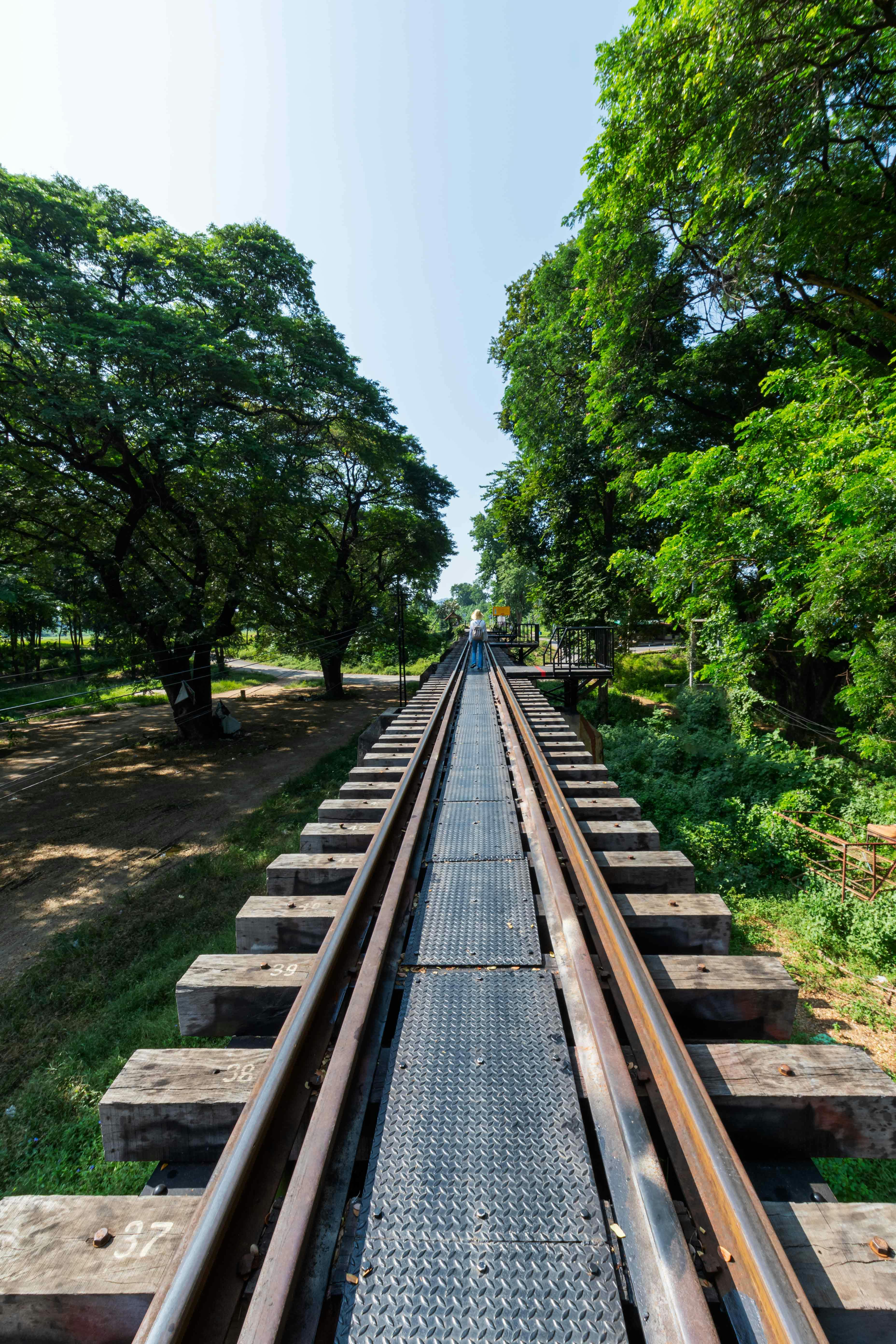 Scenic Railroad Track through Lush Forest · Free Stock Photo