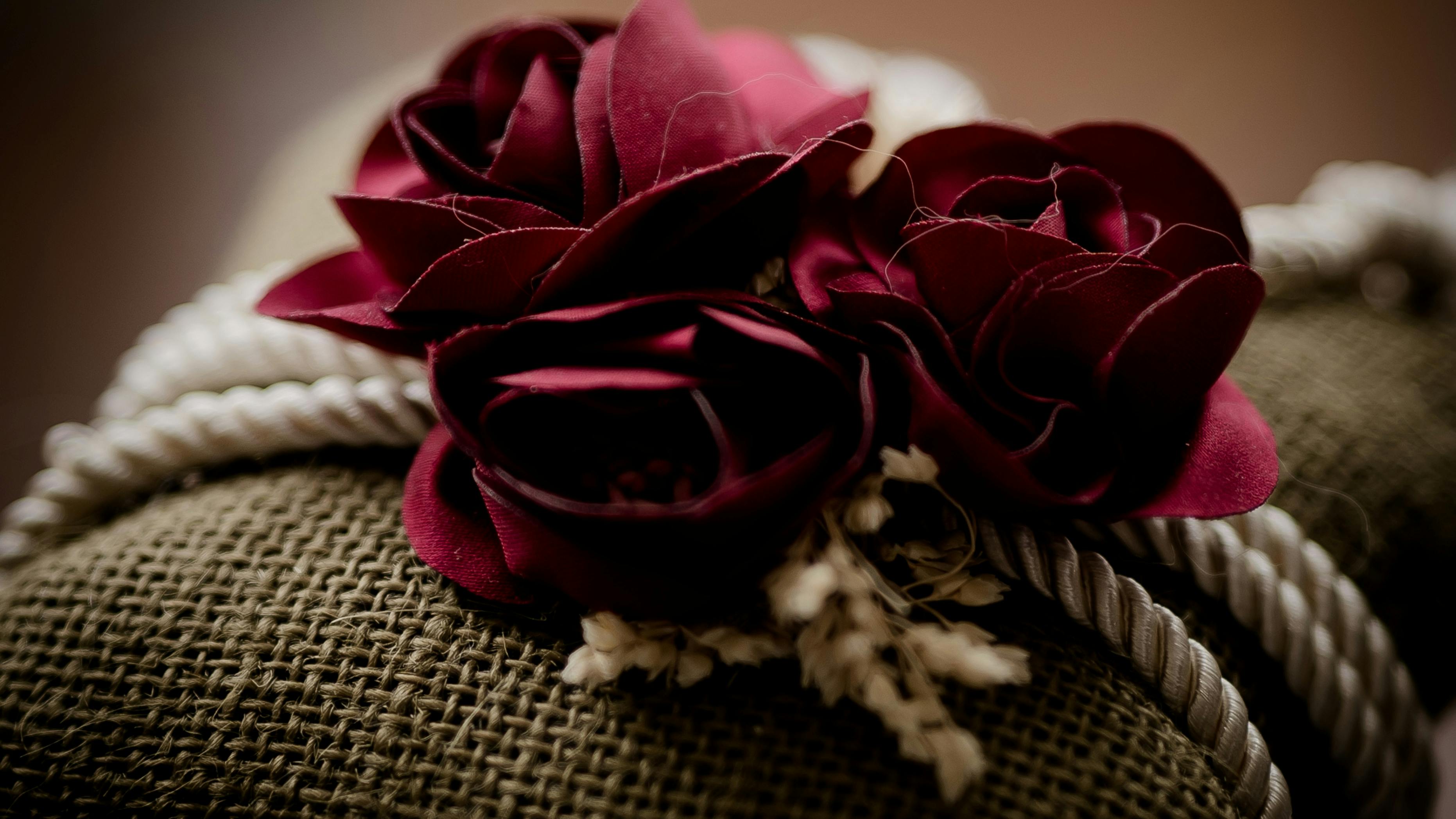 100.000+ Scroller+girls+small+size+hd Bilder und Fotos · Kostenlos ...