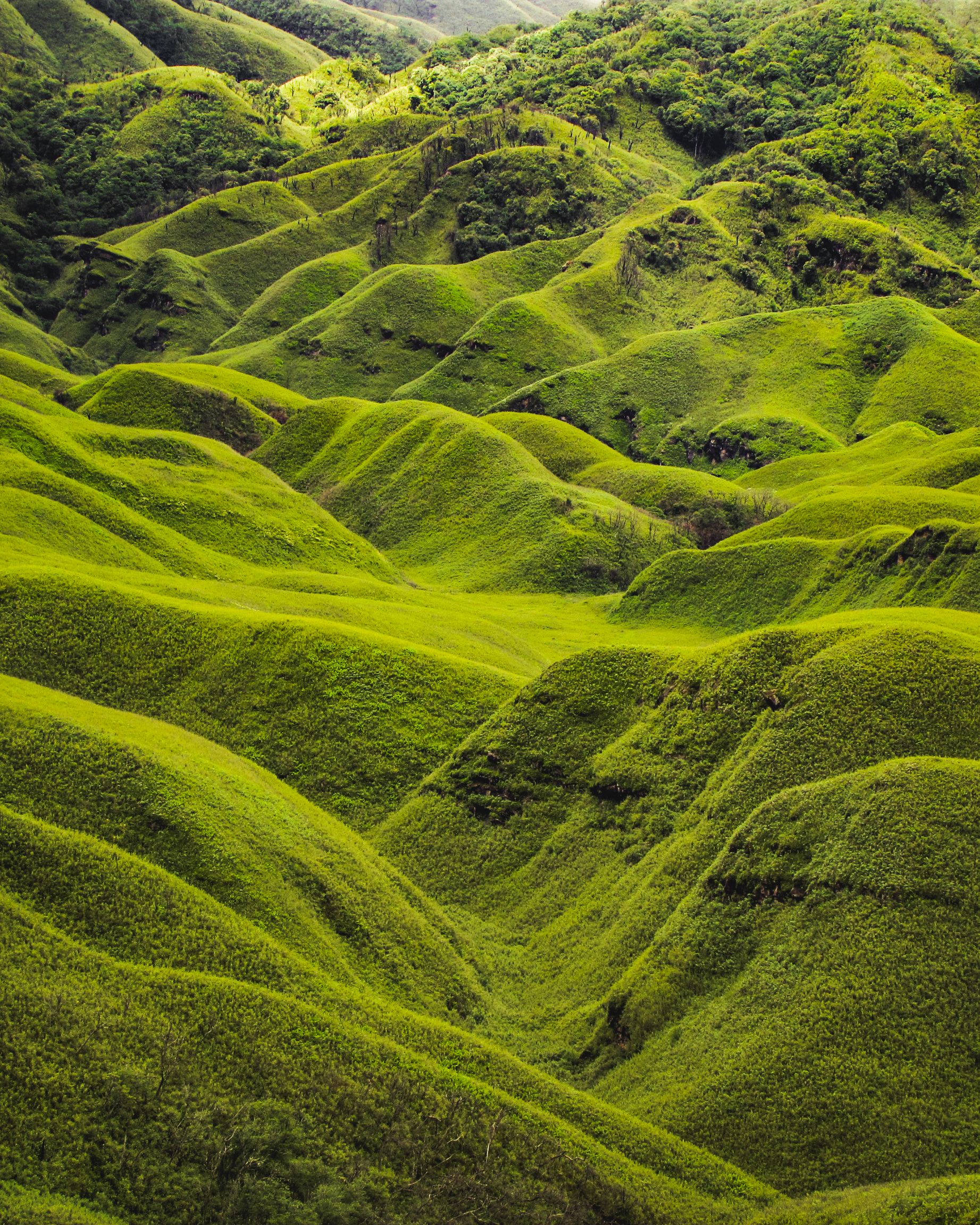 Vibrant Green Hills of Viswema, Nagaland · Free Stock Photo