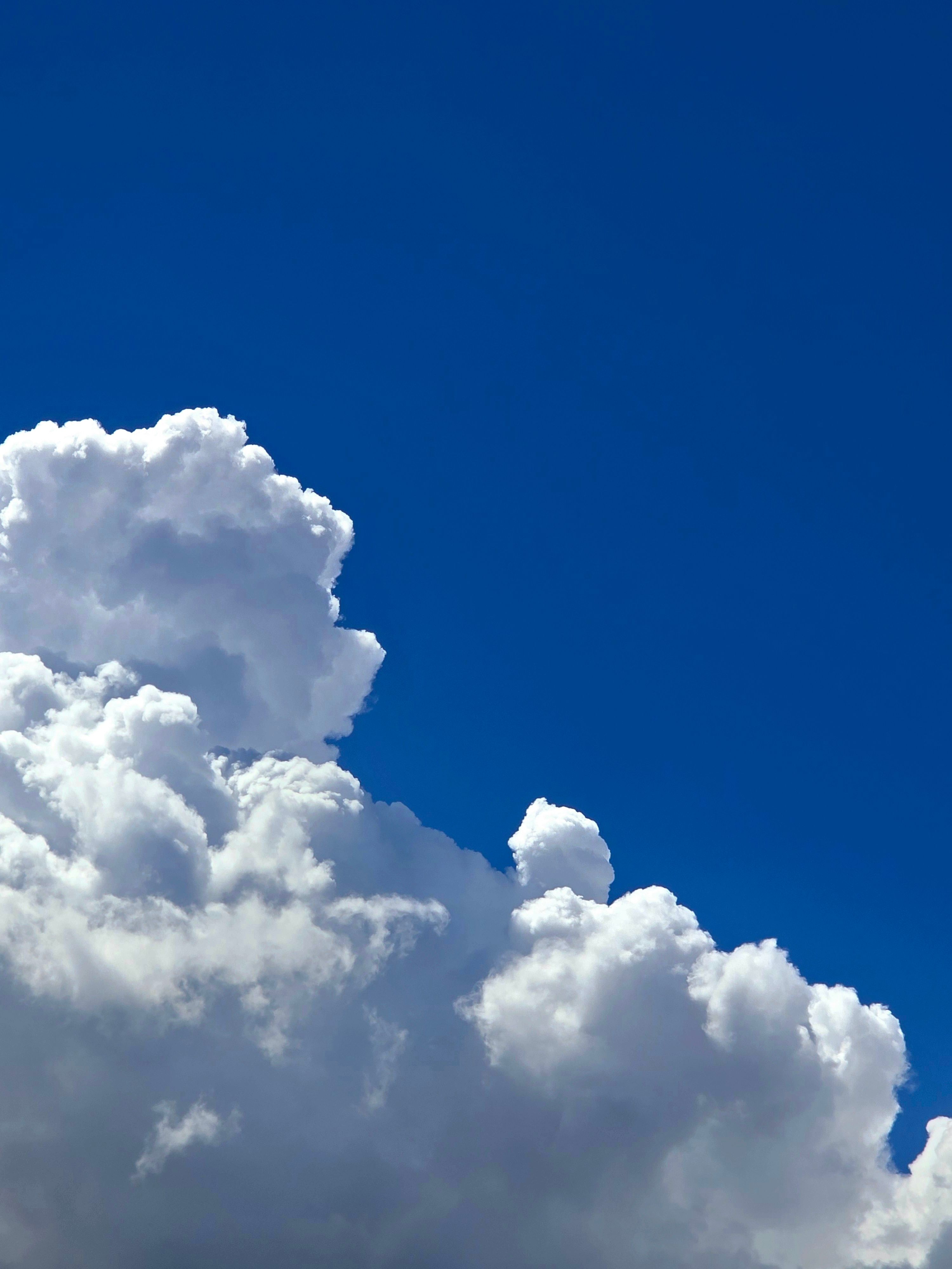 Cumulus Clouds Photos, Download The BEST Free Cumulus Clouds Stock ...