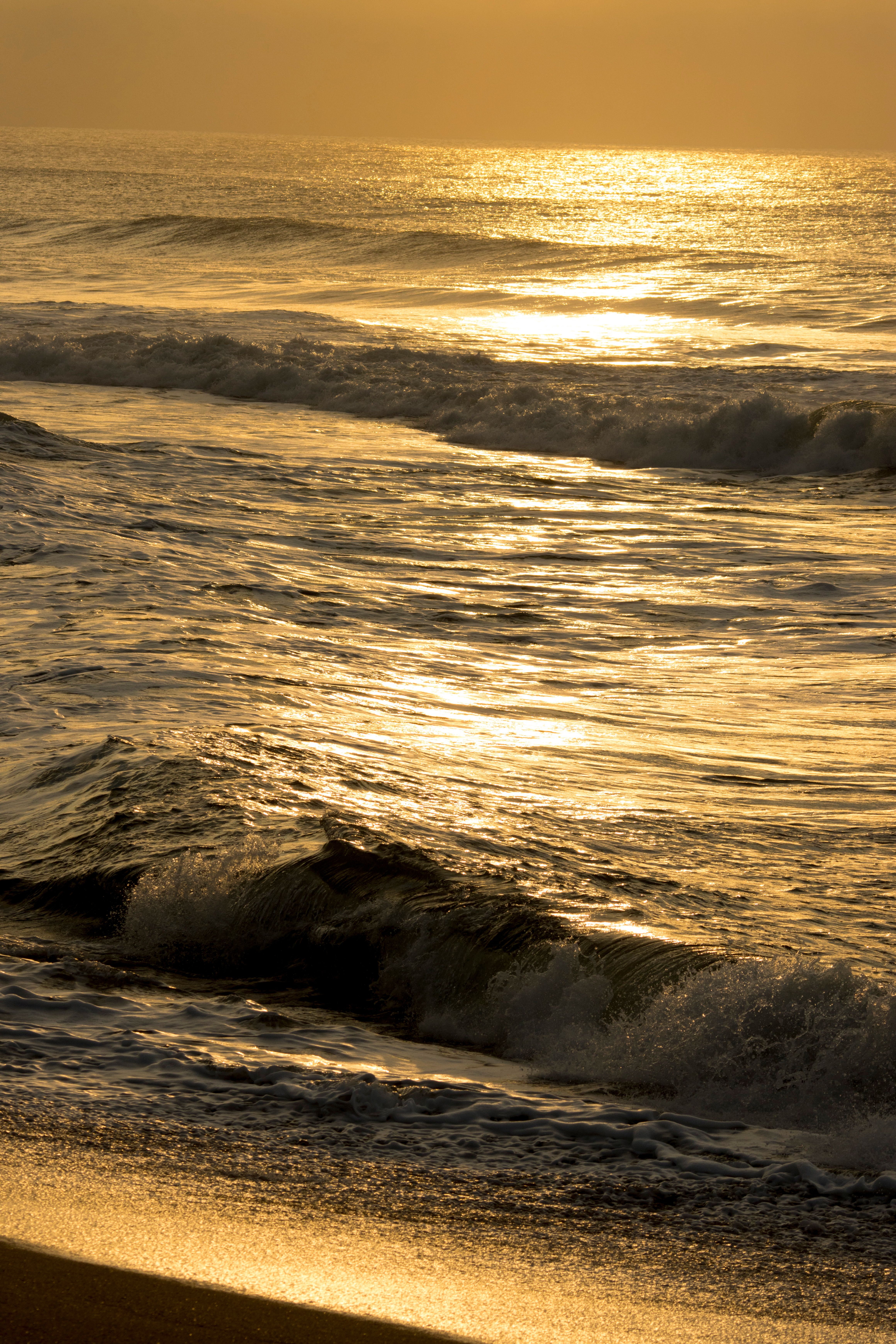 Golden Sunset Over Ocean Waves at Beach · Free Stock Photo