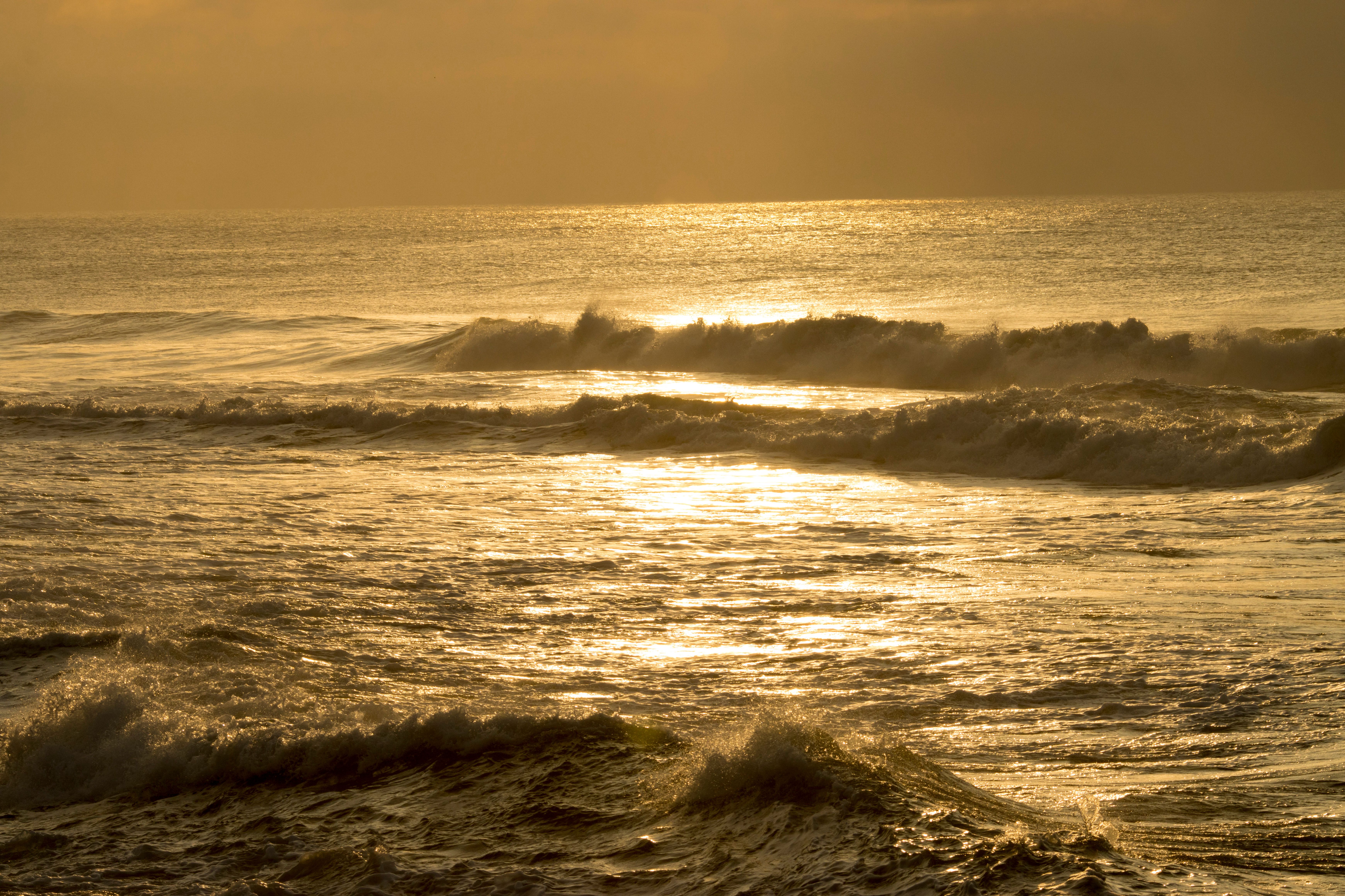 Golden Sunrise Over Ocean Waves on Tranquil Beach · Free Stock Photo