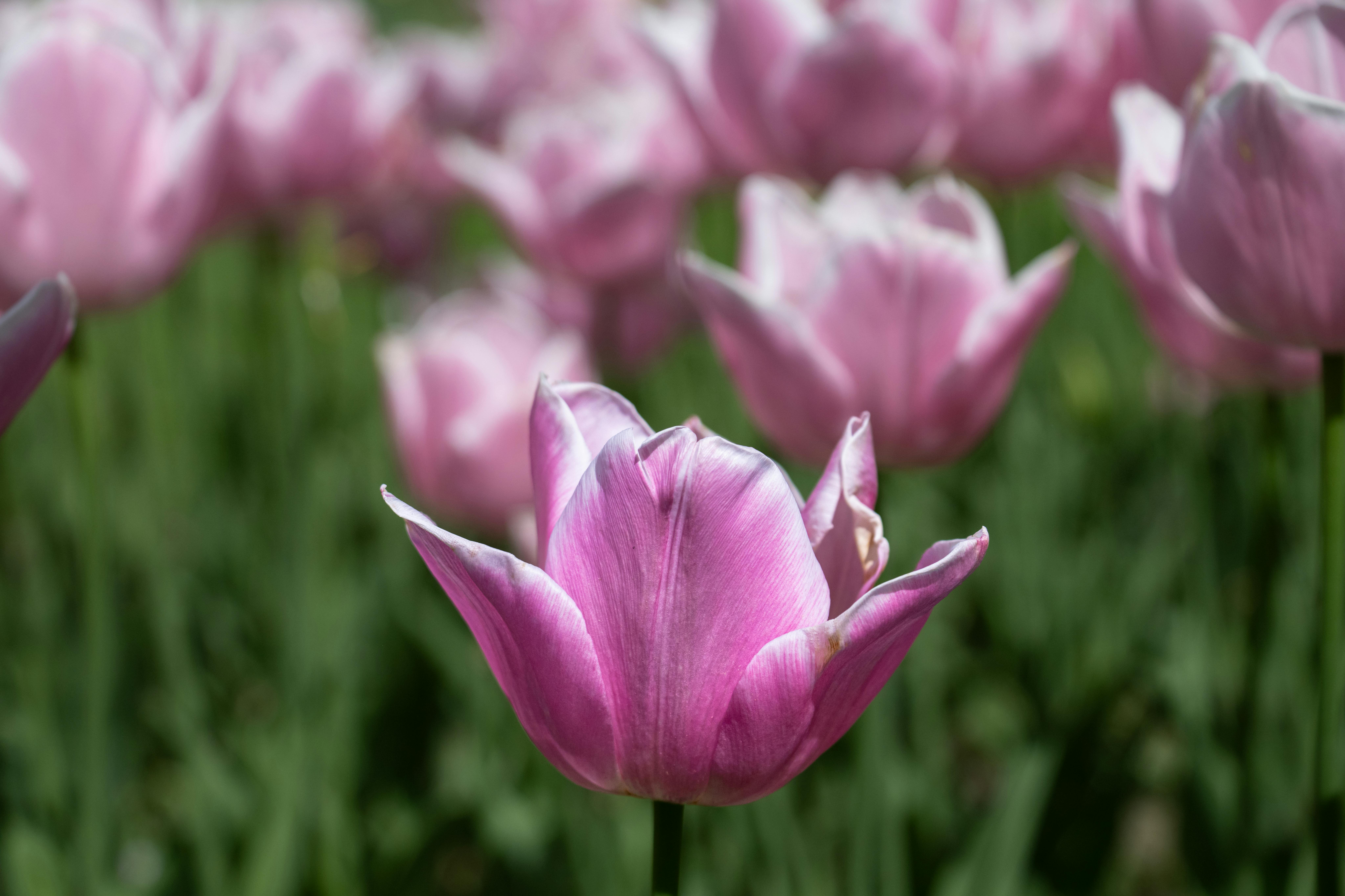 Blippi Background Photos, Download The BEST Free Blippi Background ...