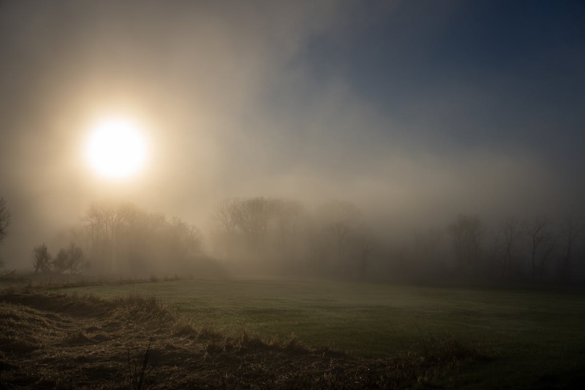 Weaver Photos, Download The BEST Free Weaver Stock Photos & HD Images