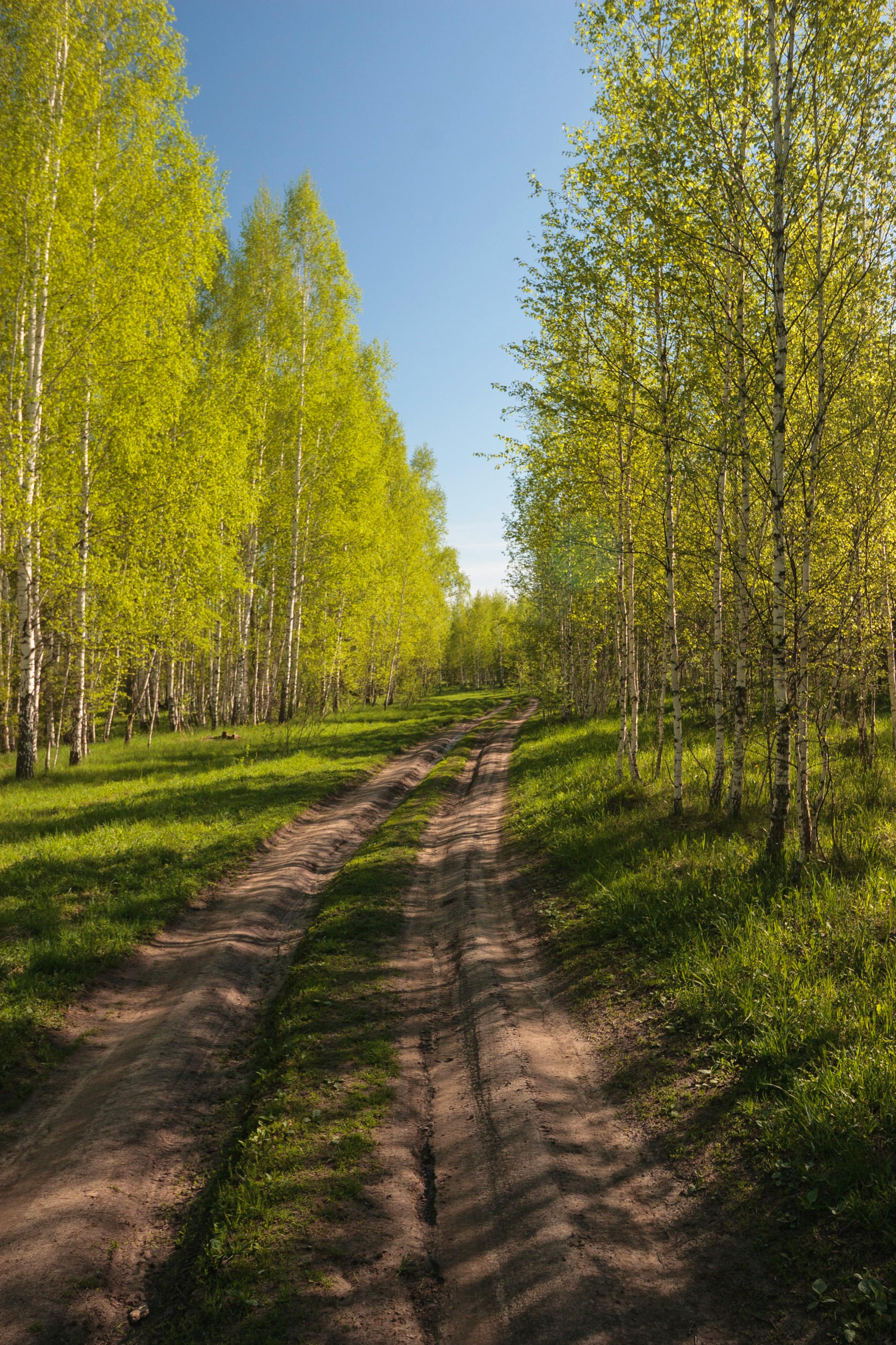 Pathway Free Stock Photos, Download The BEST Free Pathway Free Stock ...