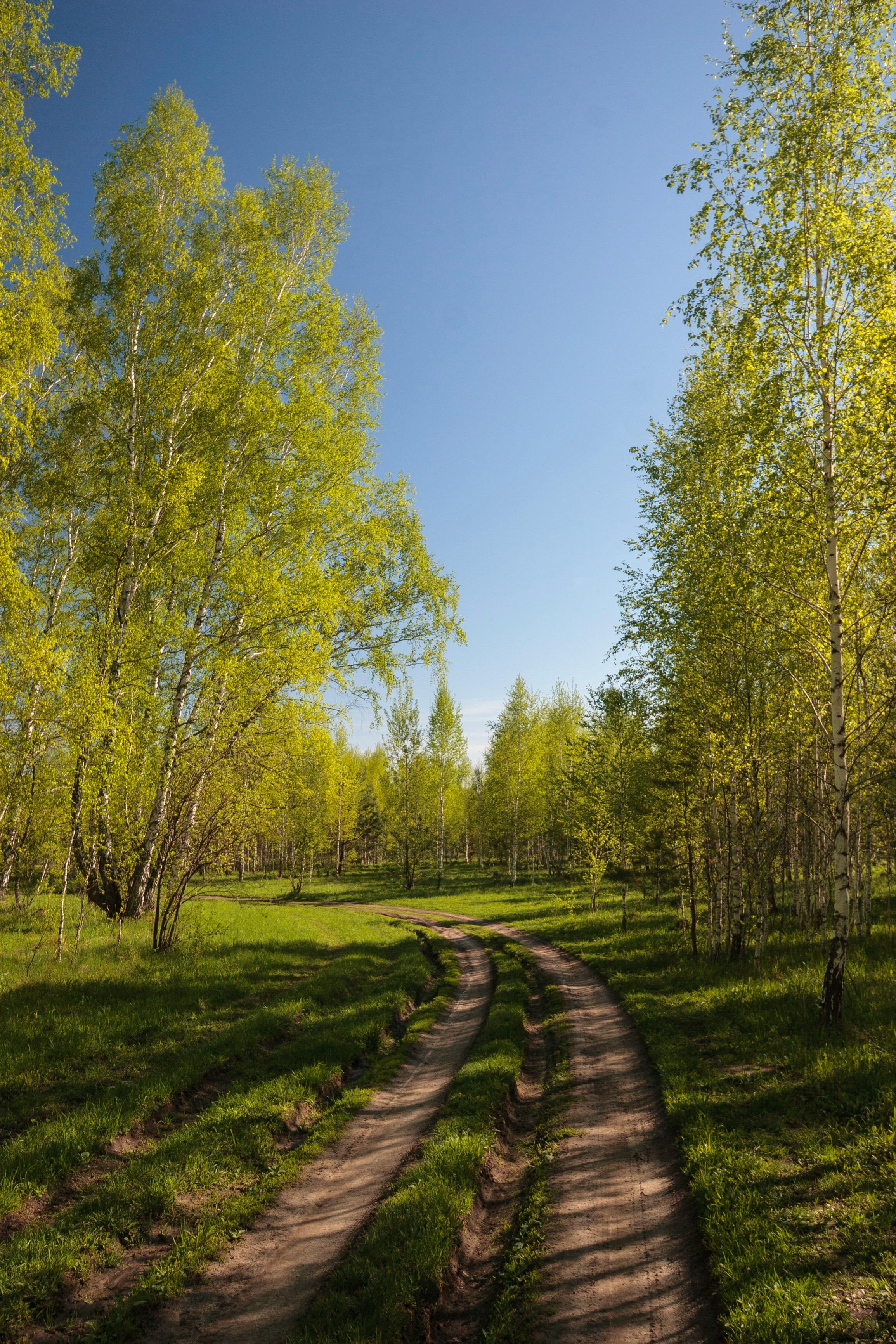 Free Thumbnail Photos, Download The BEST Free Free Thumbnail Stock ...