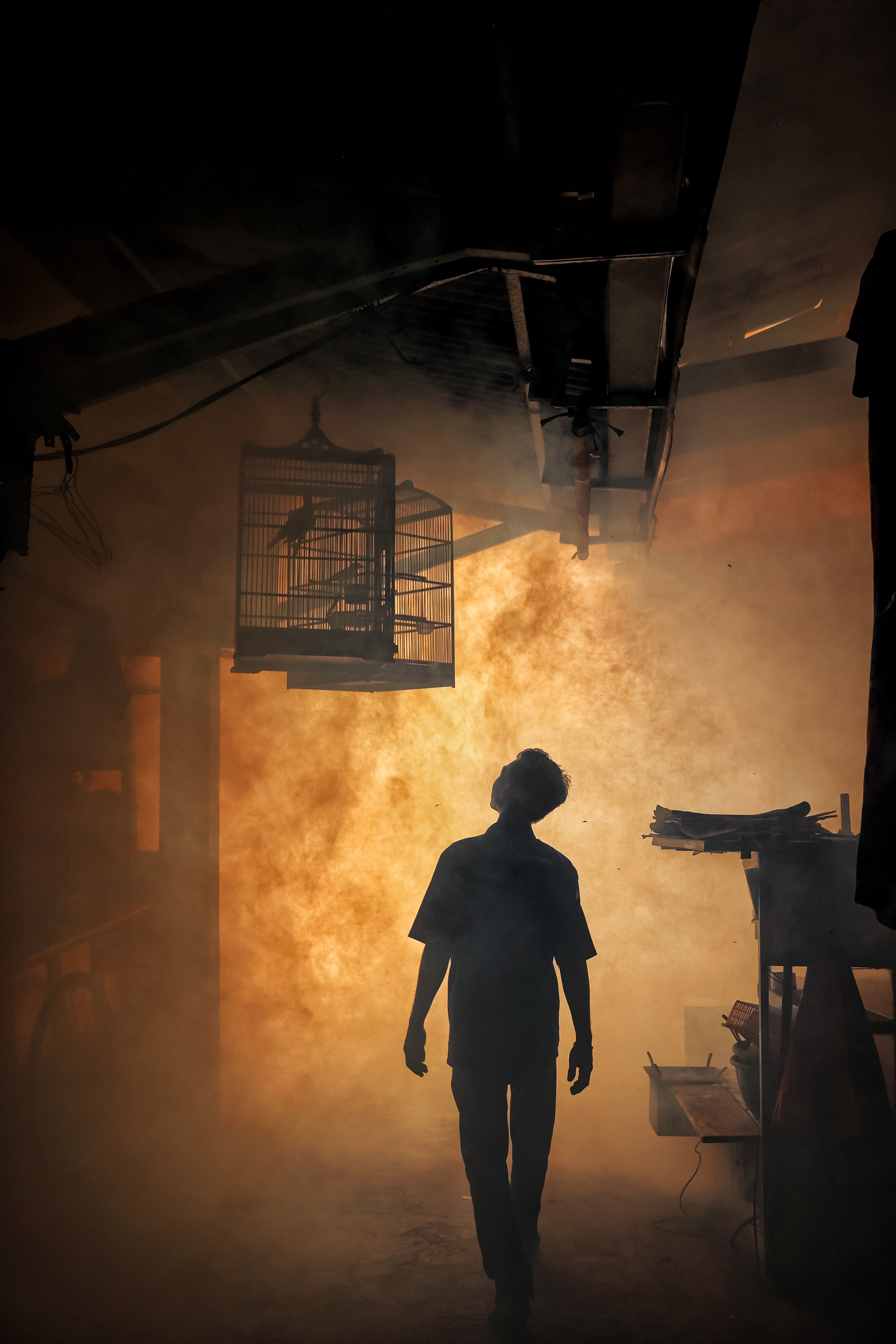Silhouette of Person Walking Through Smoke Indoors · Free Stock Photo