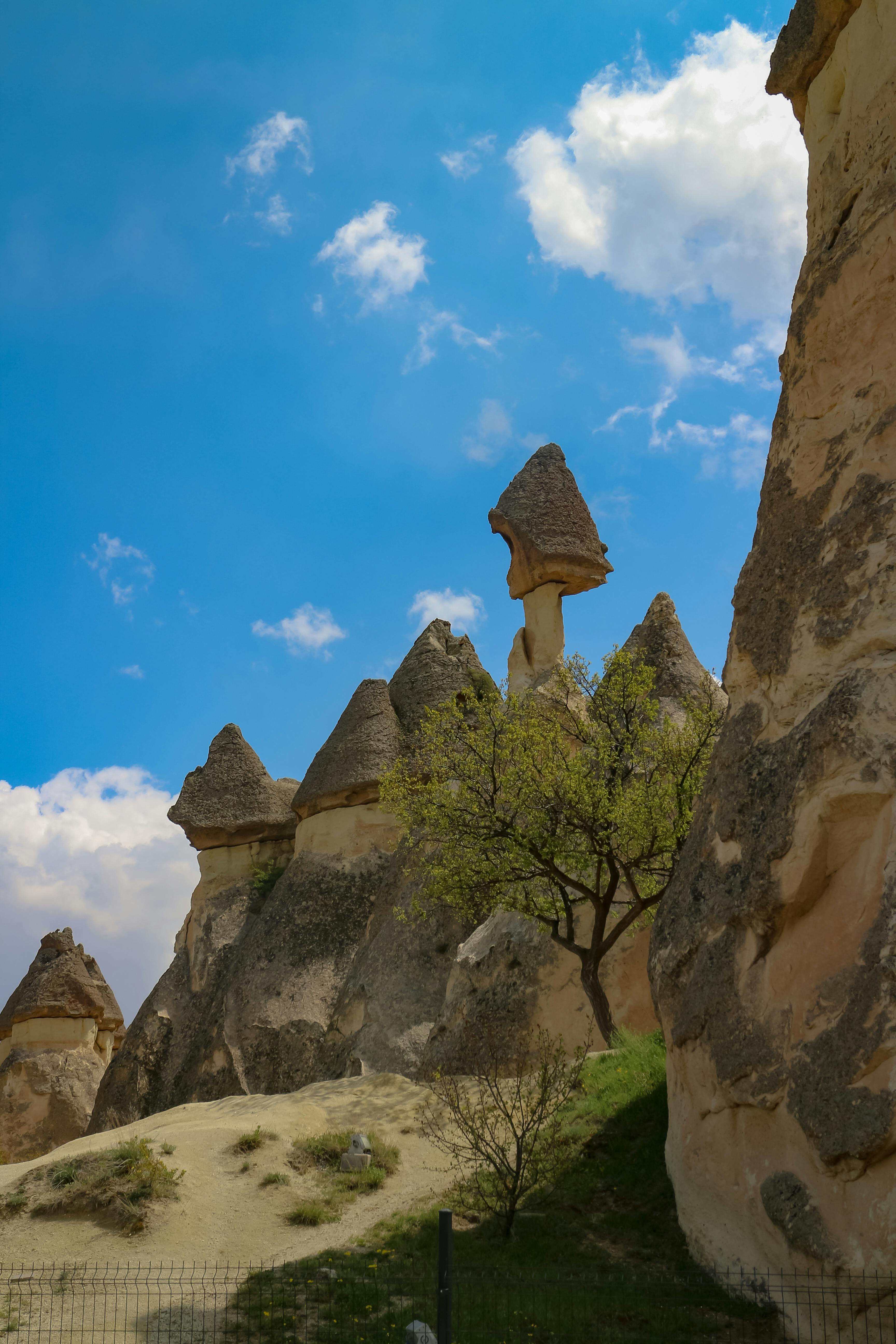 Sightseeing Photos, Download The BEST Free Sightseeing Stock Photos ...