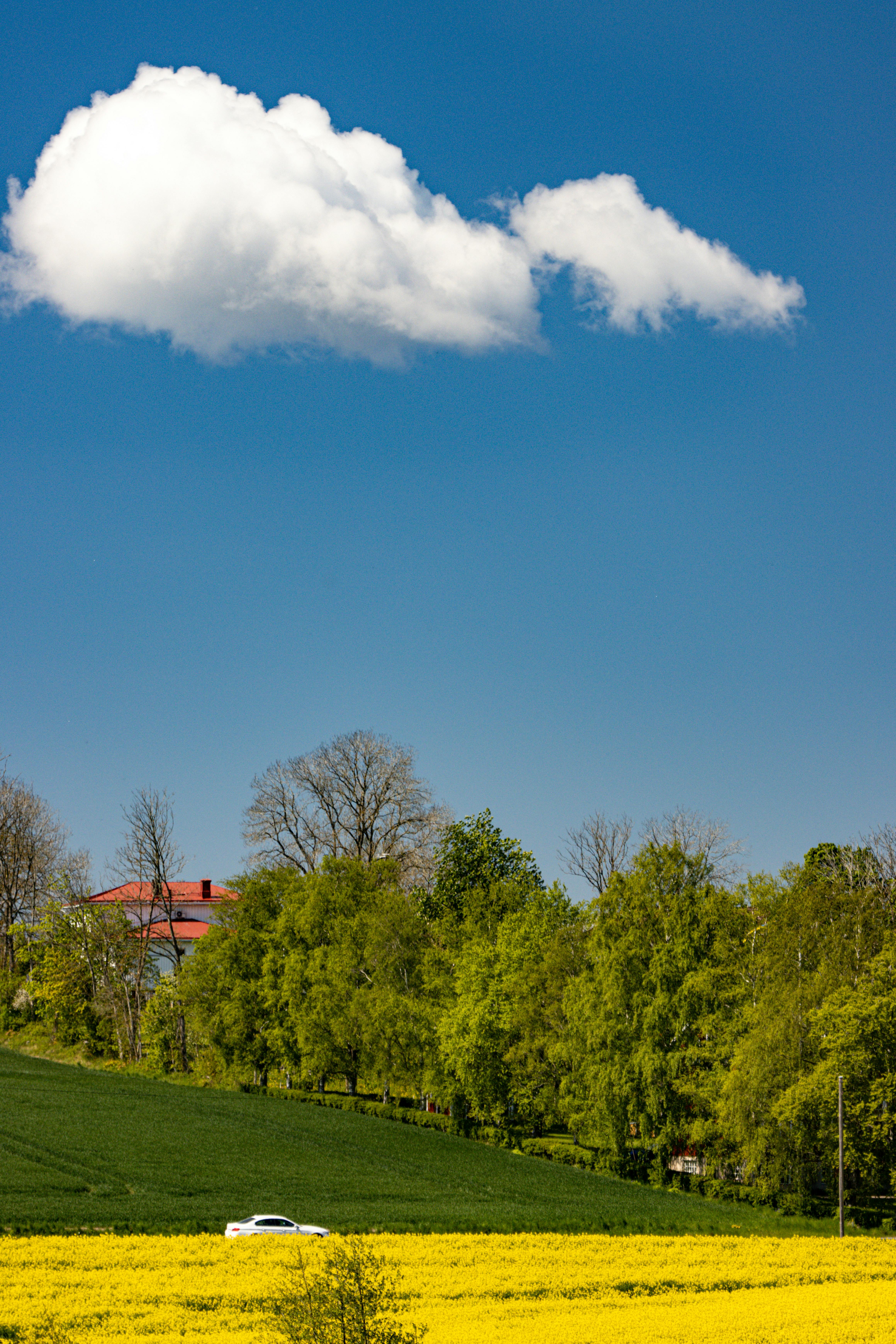 Spring Landscape in Jönköping County, Sweden · Free Stock Photo