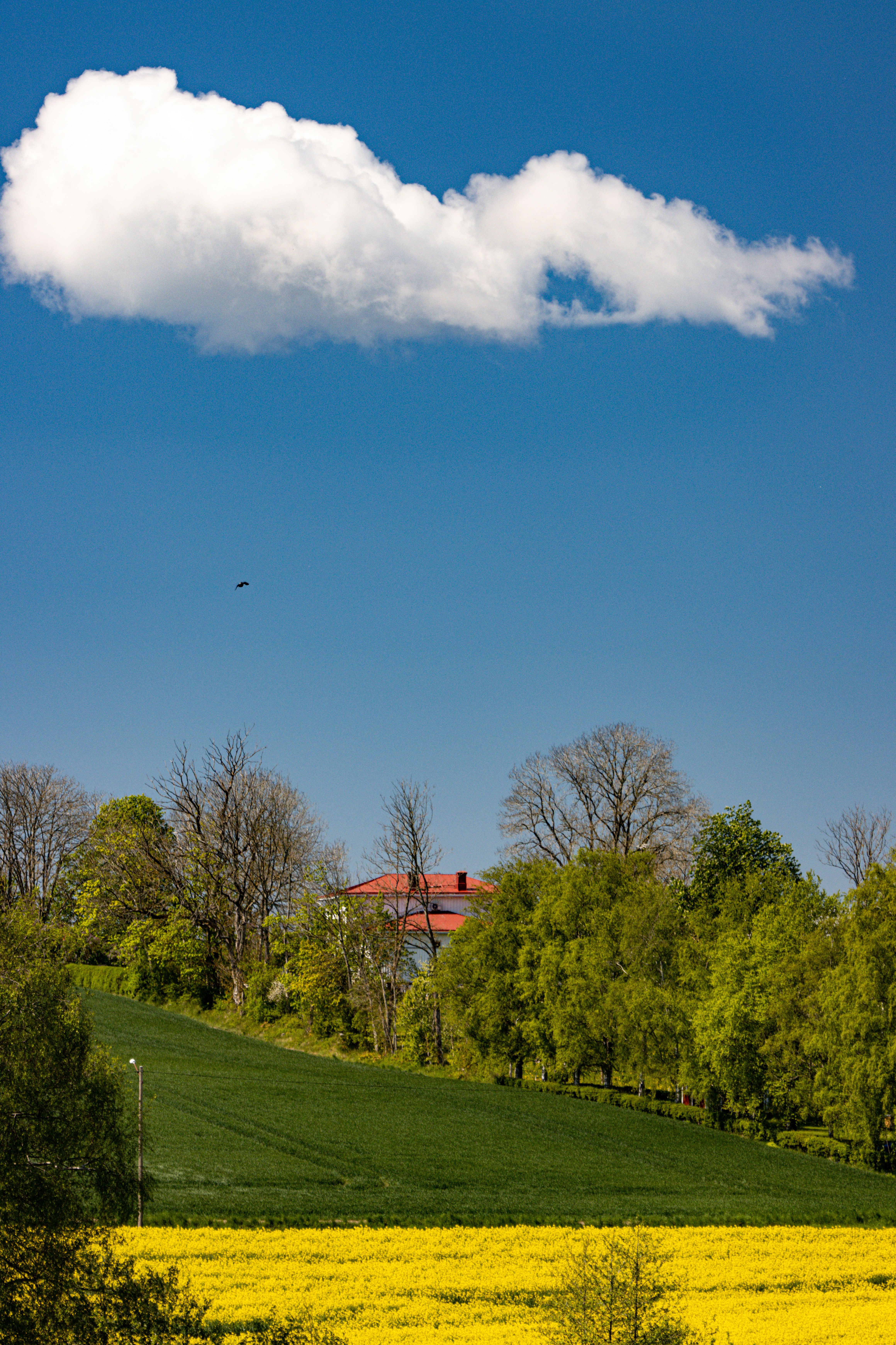 May Landscape Photos, Download The BEST Free May Landscape Stock Photos ...