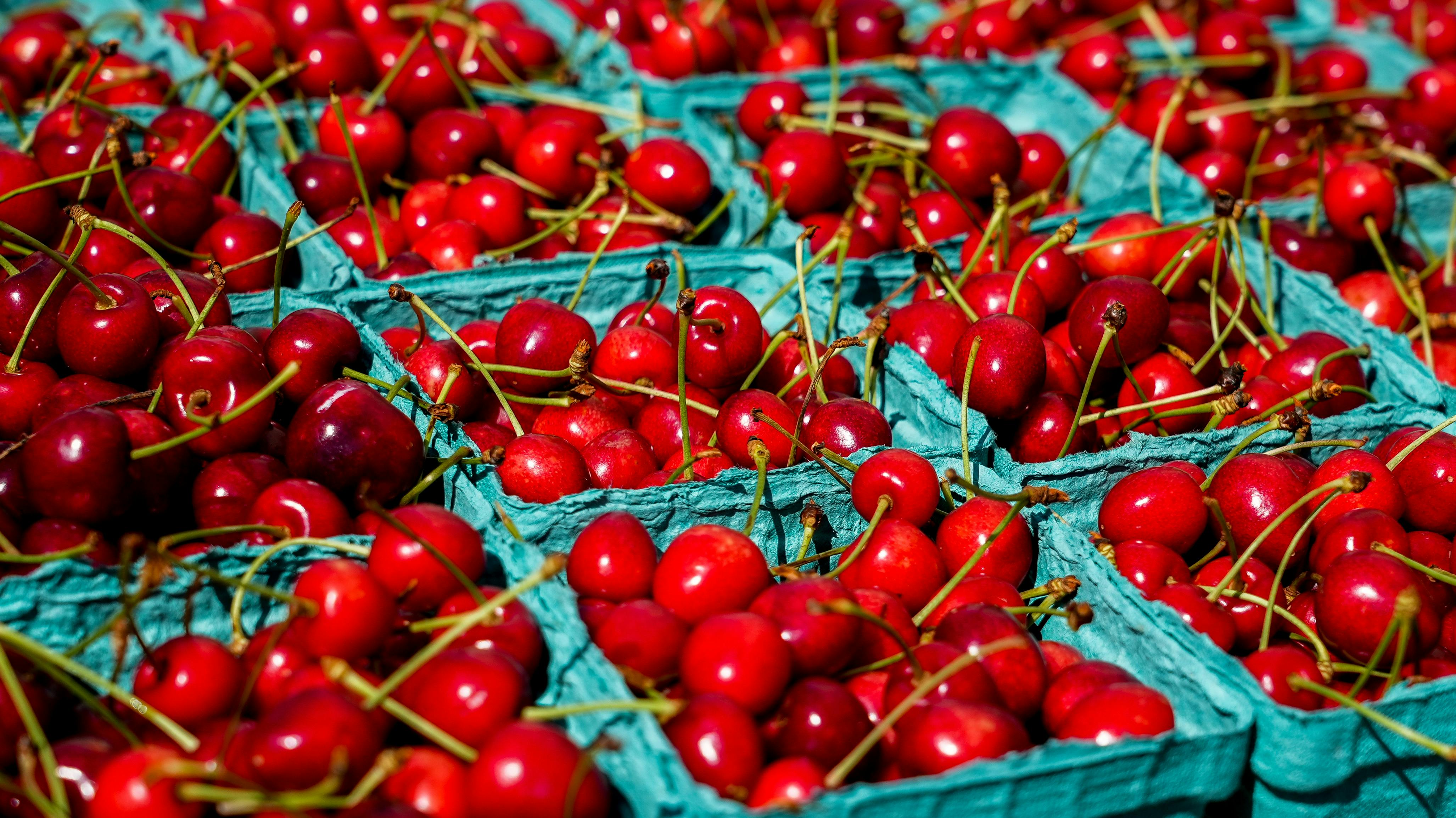 Quality Management Photos, Download The BEST Free Quality Management ...