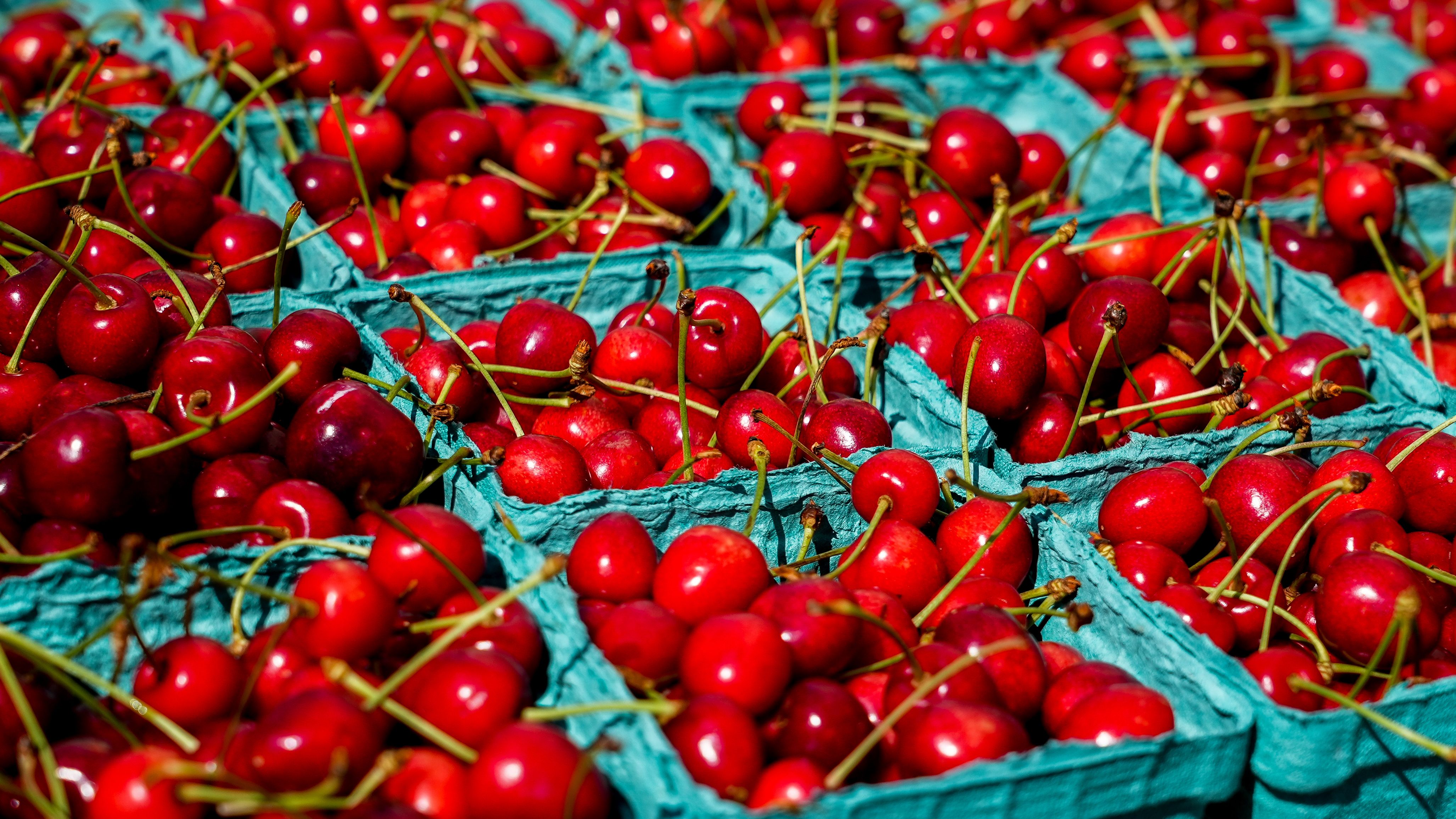 Fresh Red Cherries at Farmers Market Display · Free Stock Photo