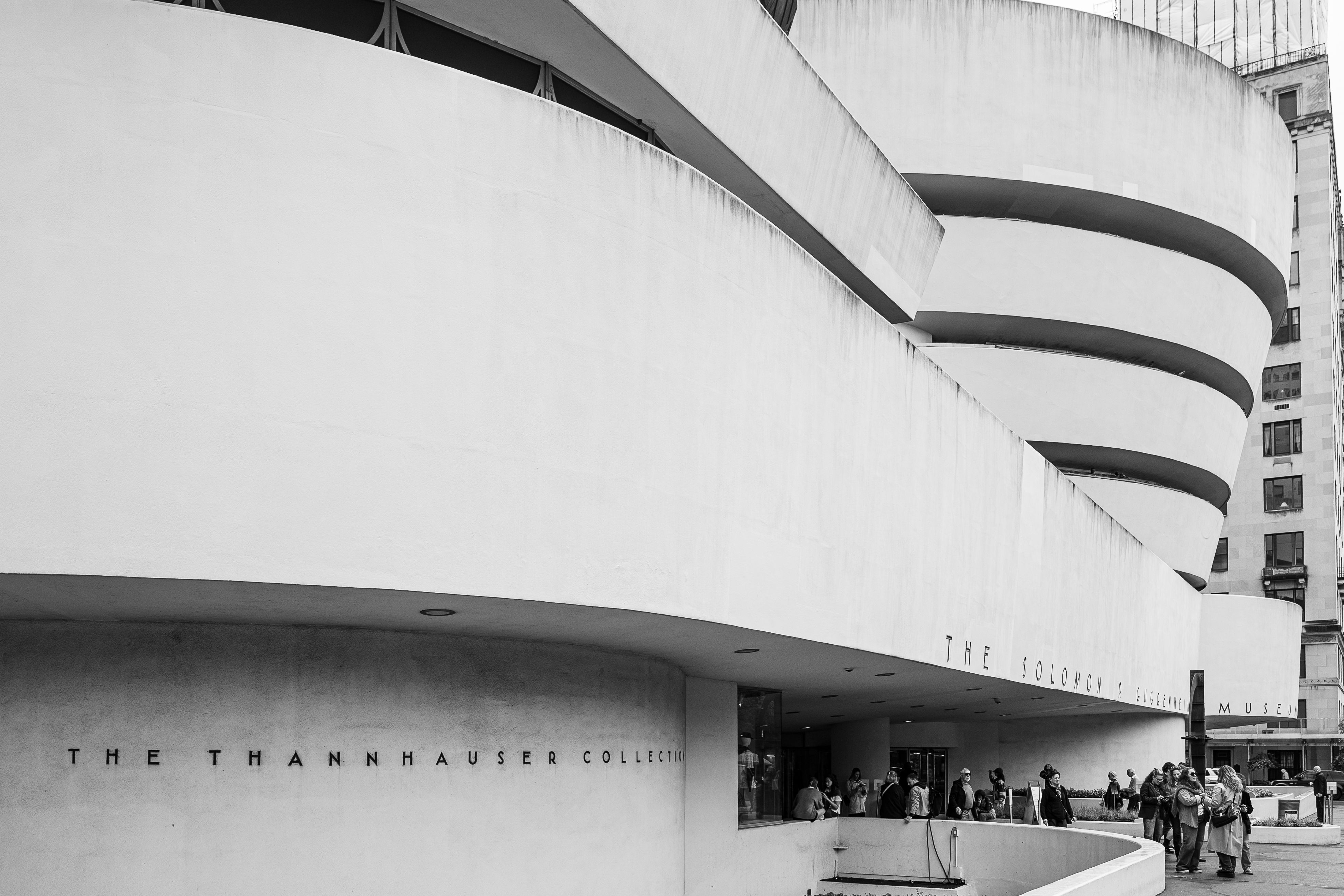 Iconic Guggenheim Museum Architectural Detail · Free Stock Photo