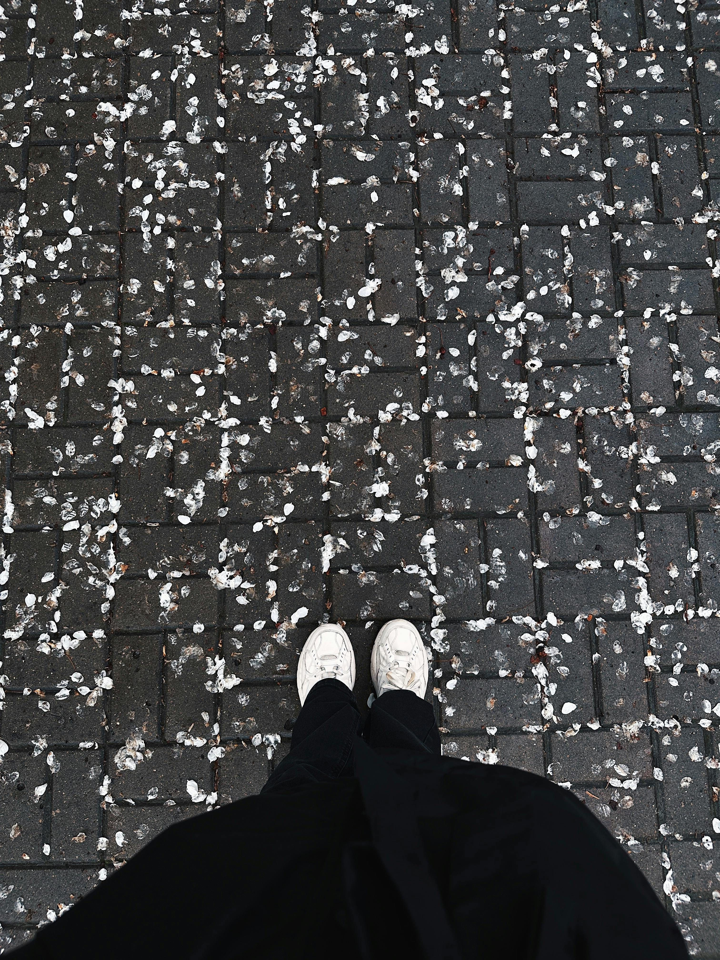 Foot Ansikte Photos, Download The BEST Free Foot Ansikte Stock Photos ...