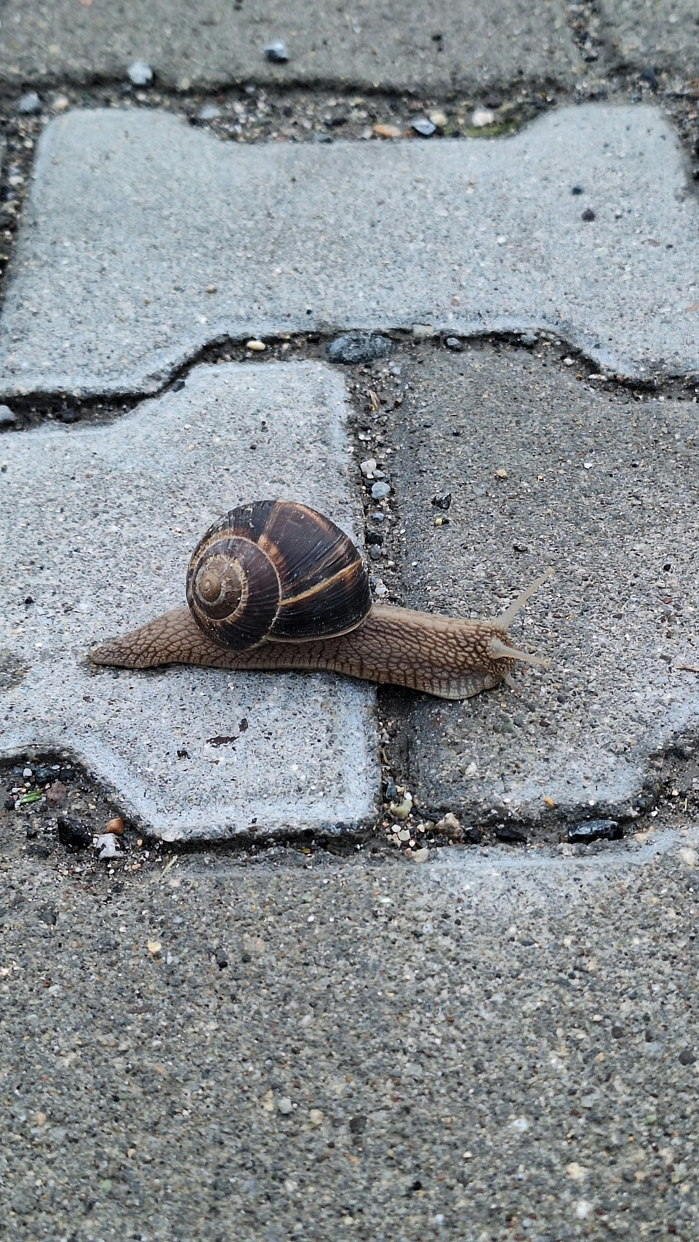 Website Slow Background Photos, Download The BEST Free Website Slow ...