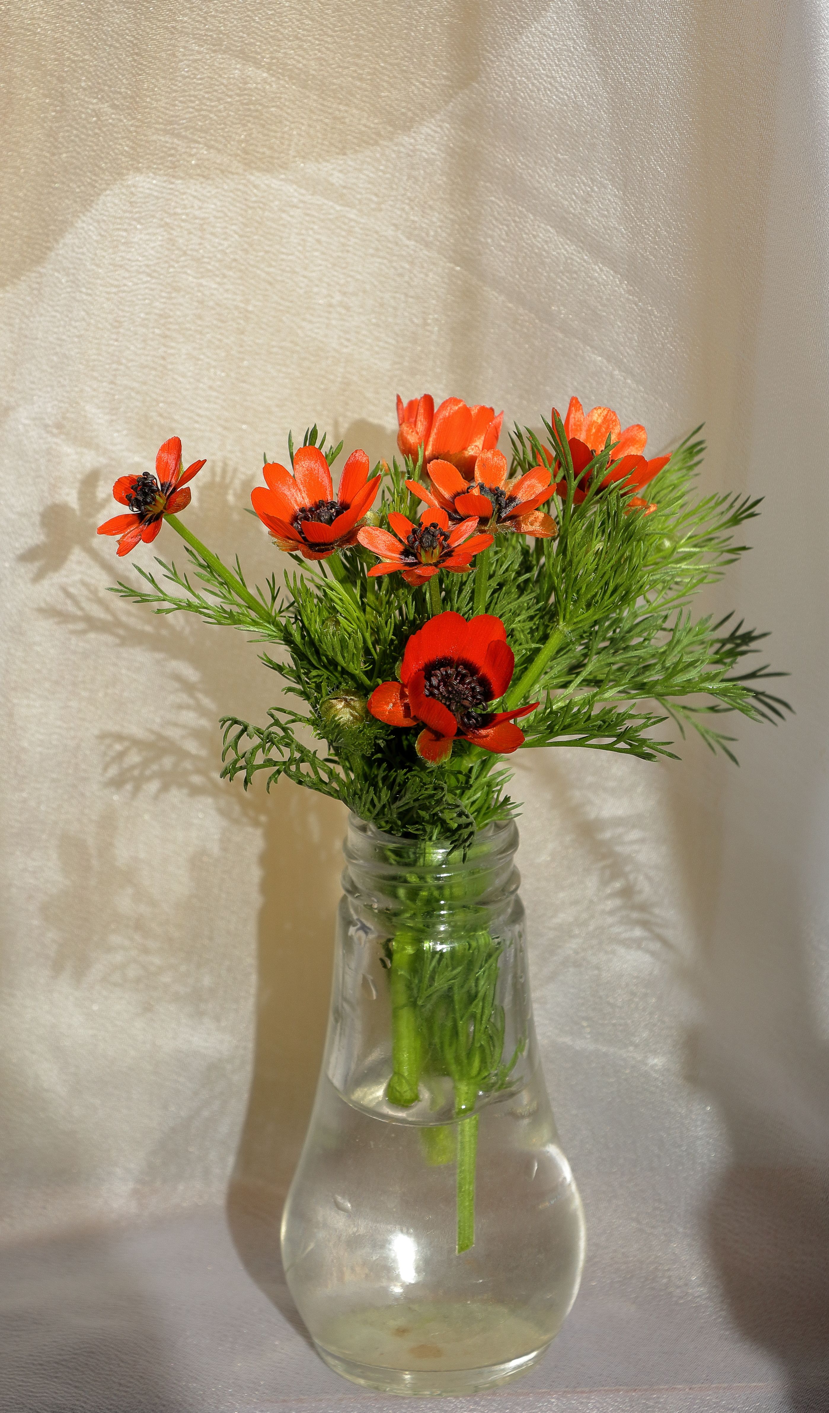 Soft Background Photos, Download The BEST Free Soft Background Stock ...