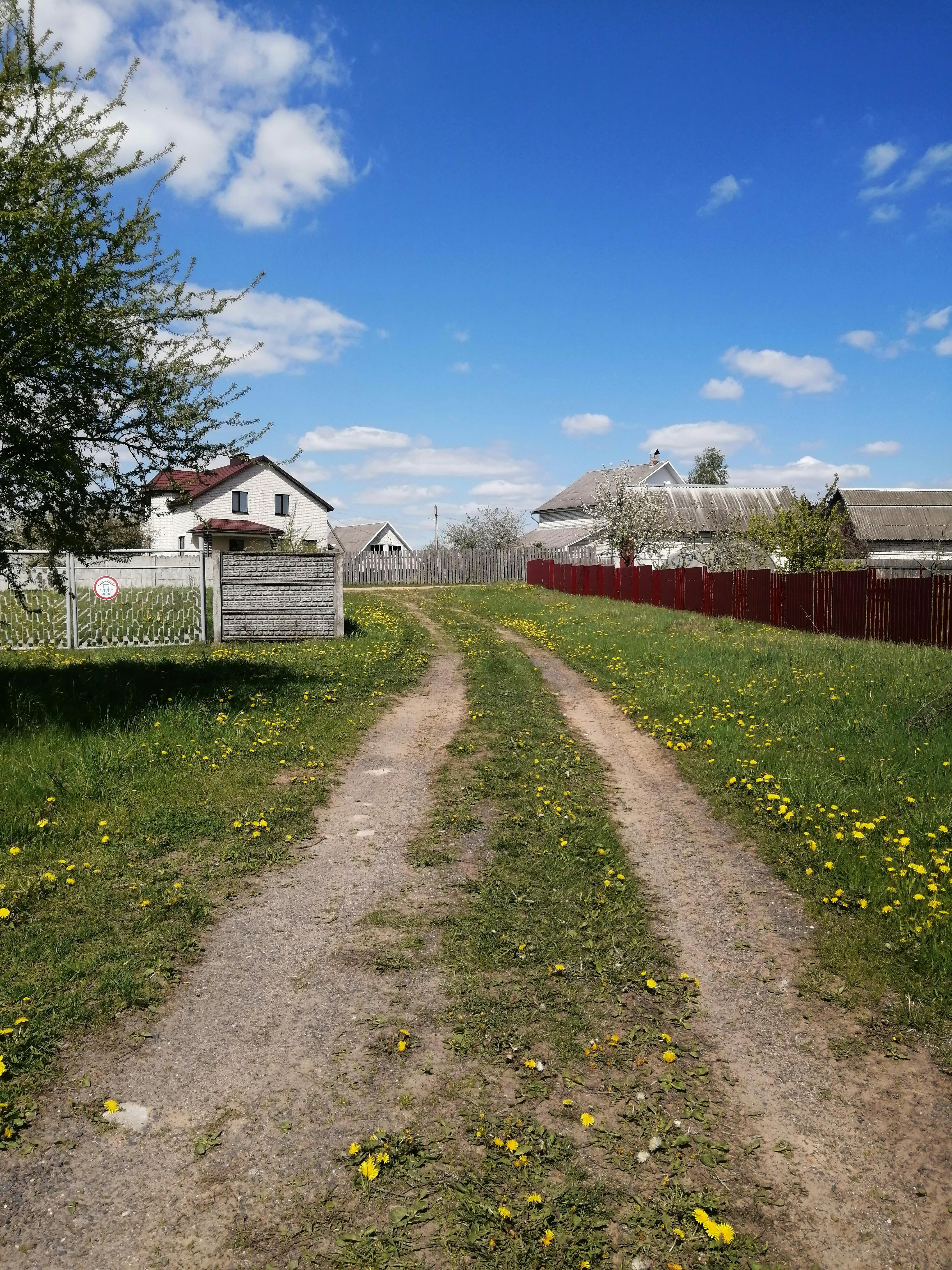 Rural Pathway Leading to Countryside Homes · Free Stock Photo