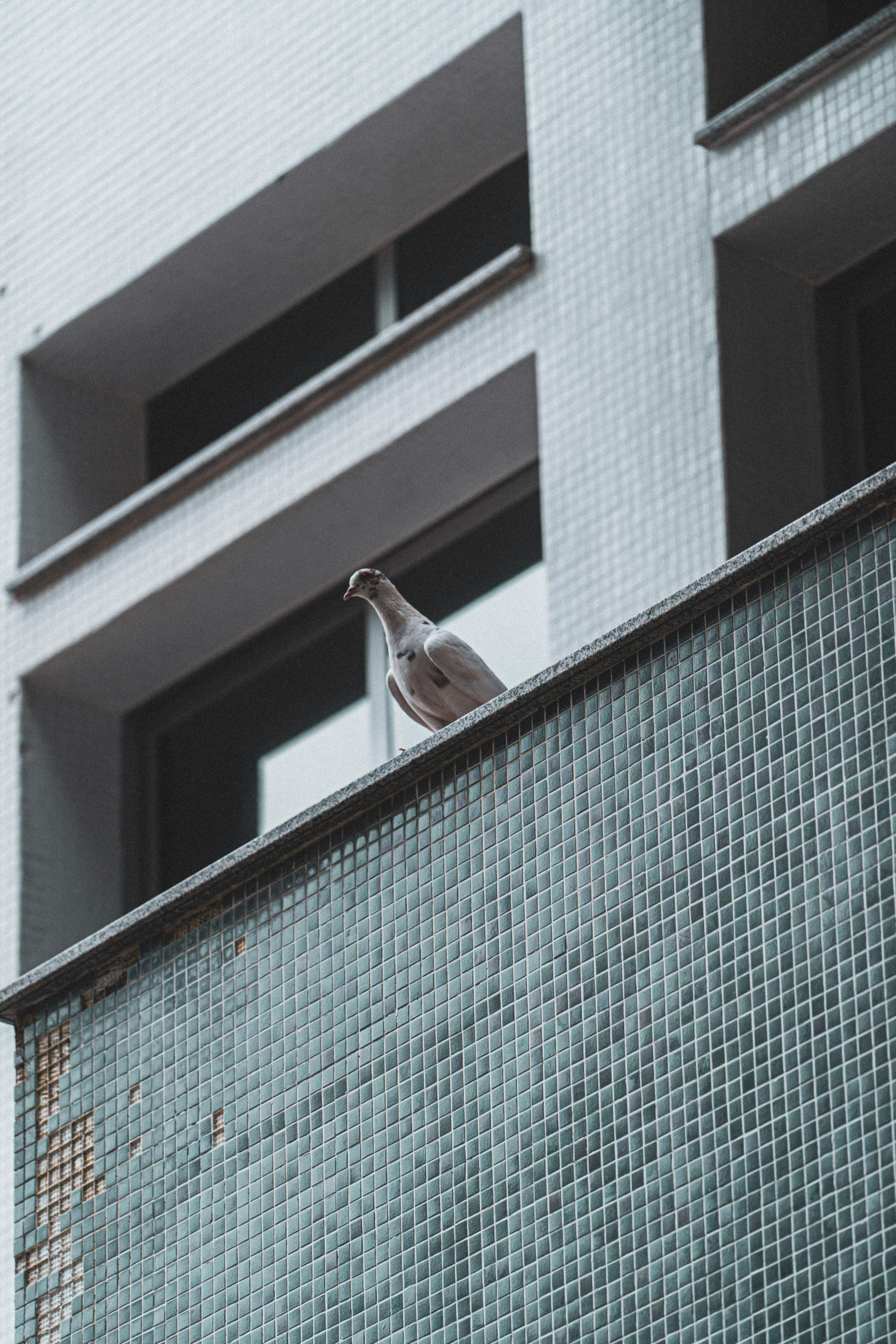 Ledge Salt Biura Lambert Photos, Download The BEST Free Ledge Salt ...