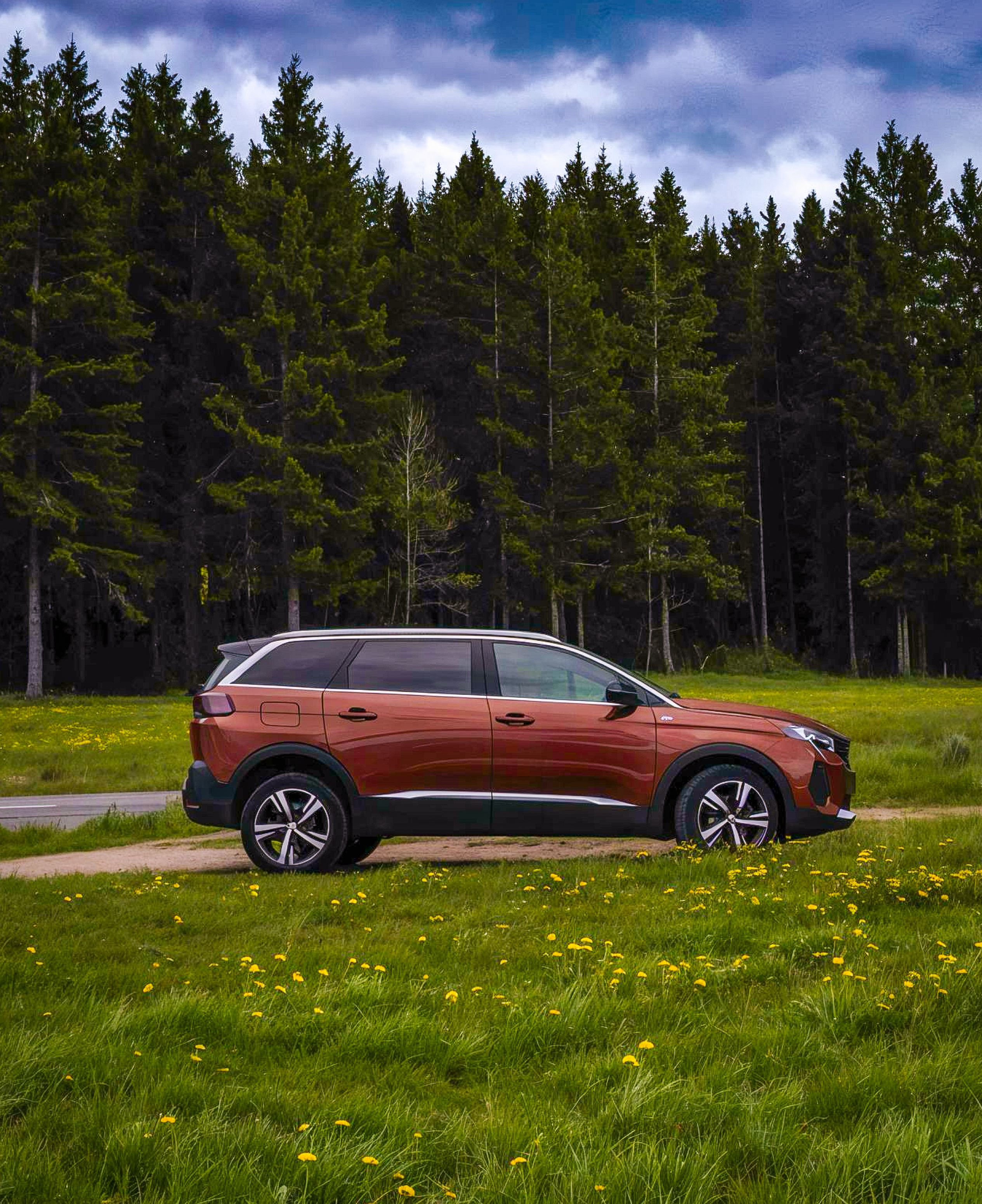 Red SUV Parked in Lush Green Meadow · Free Stock Photo
