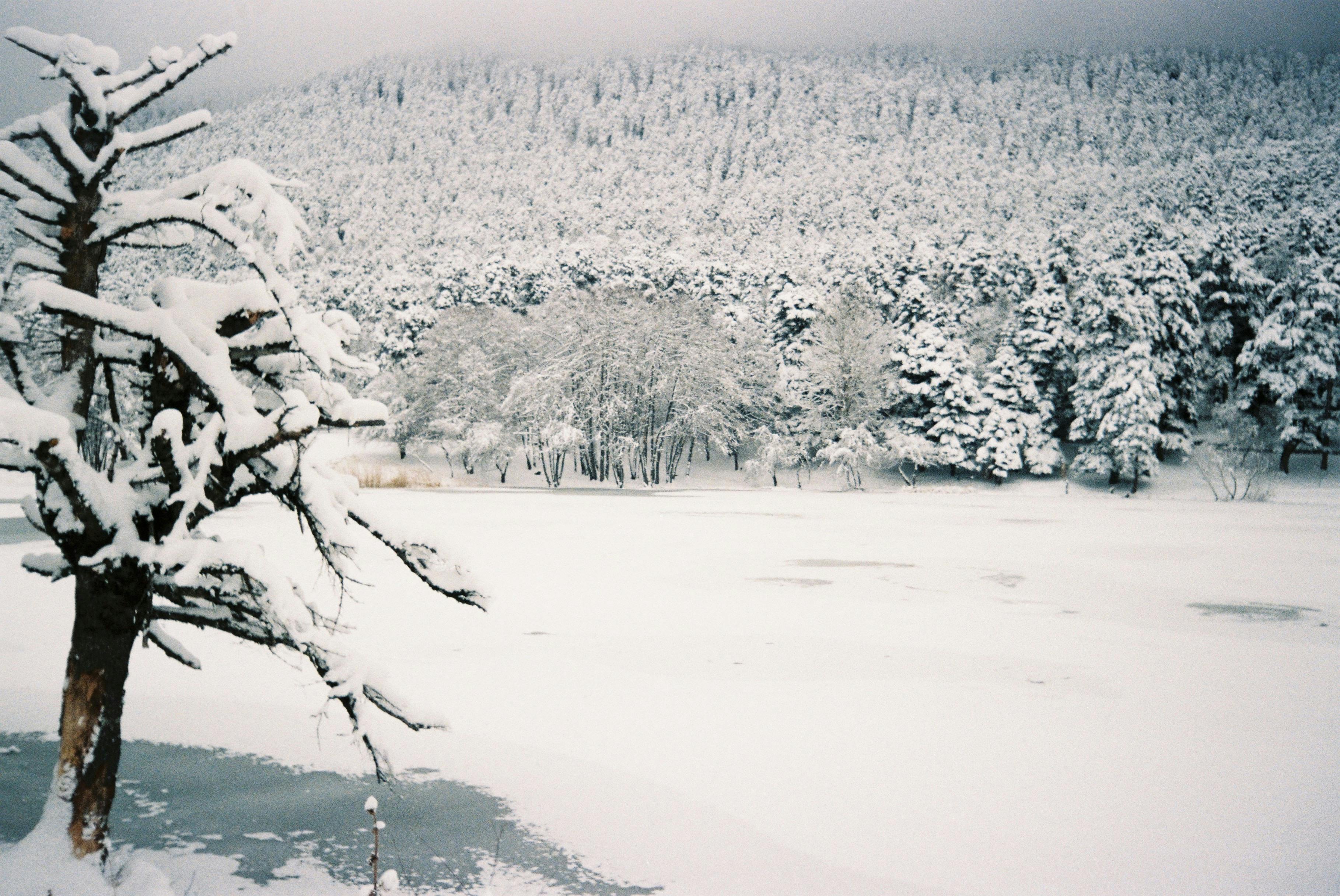 Snow Landscape Photos, Download The BEST Free Snow Landscape Stock ...