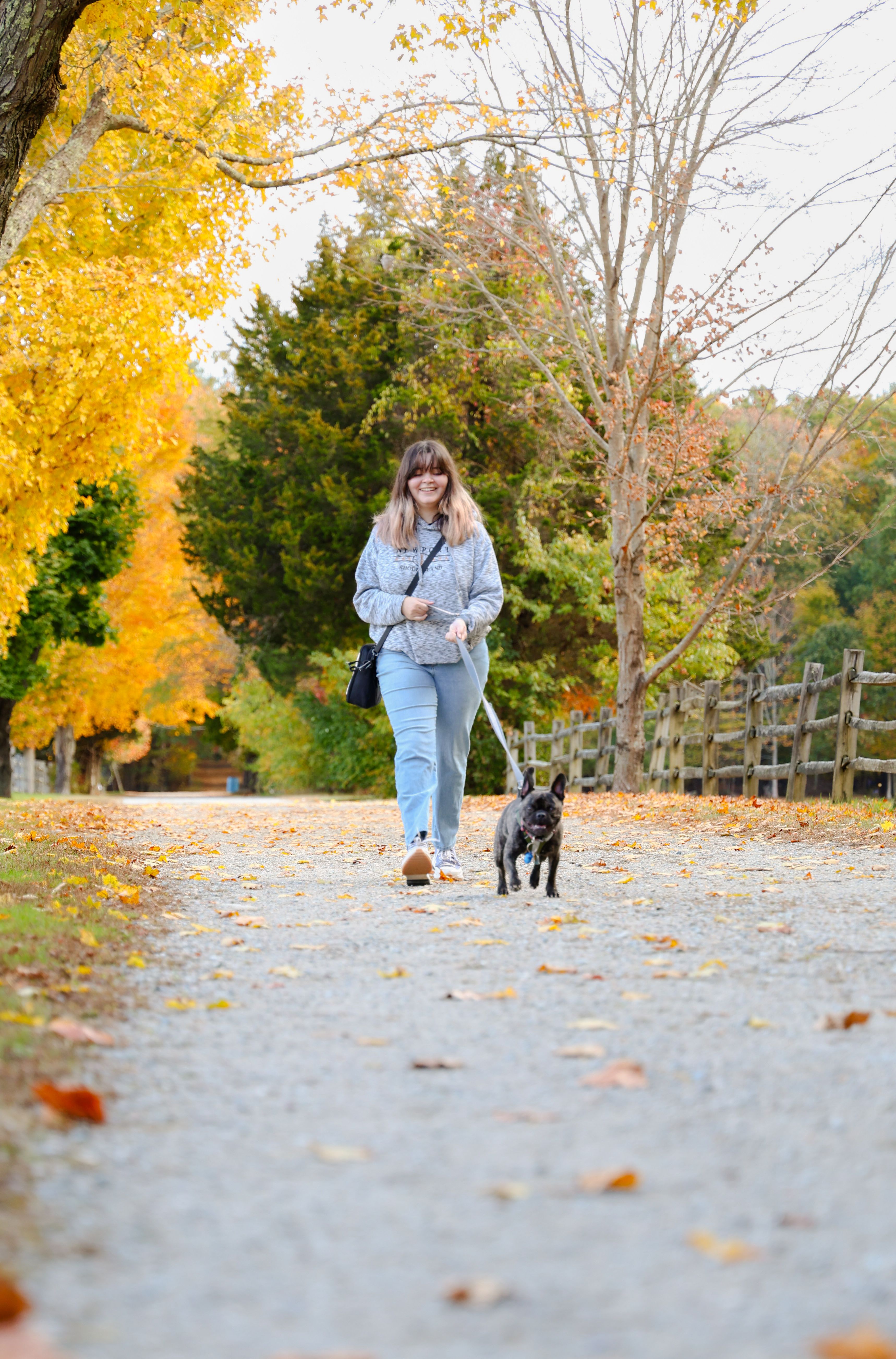 Happy Sunday Fall Photos, Download The BEST Free Happy Sunday Fall ...