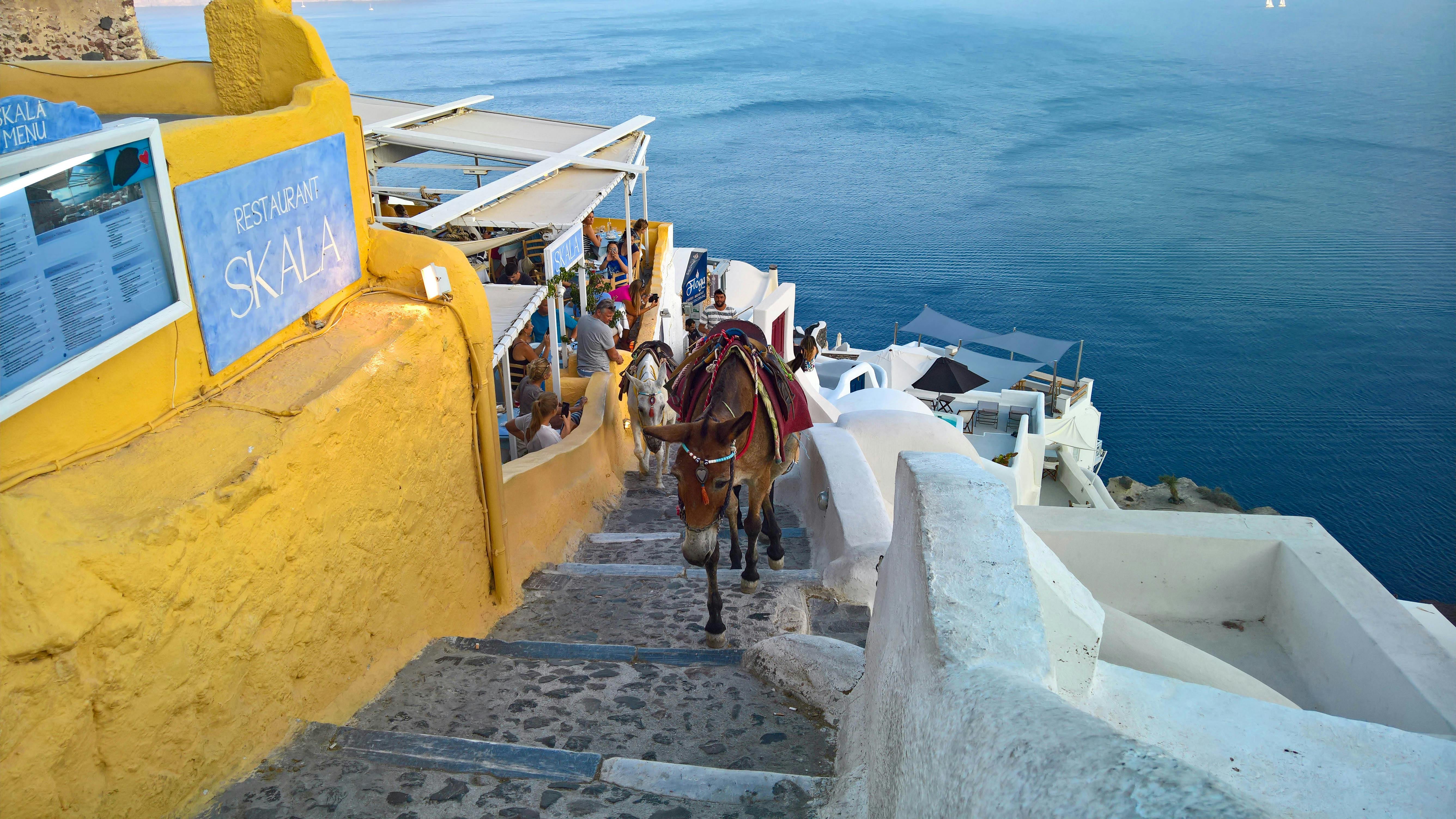 Santorini Donkey on Traditional Greek Steps · Free Stock Photo