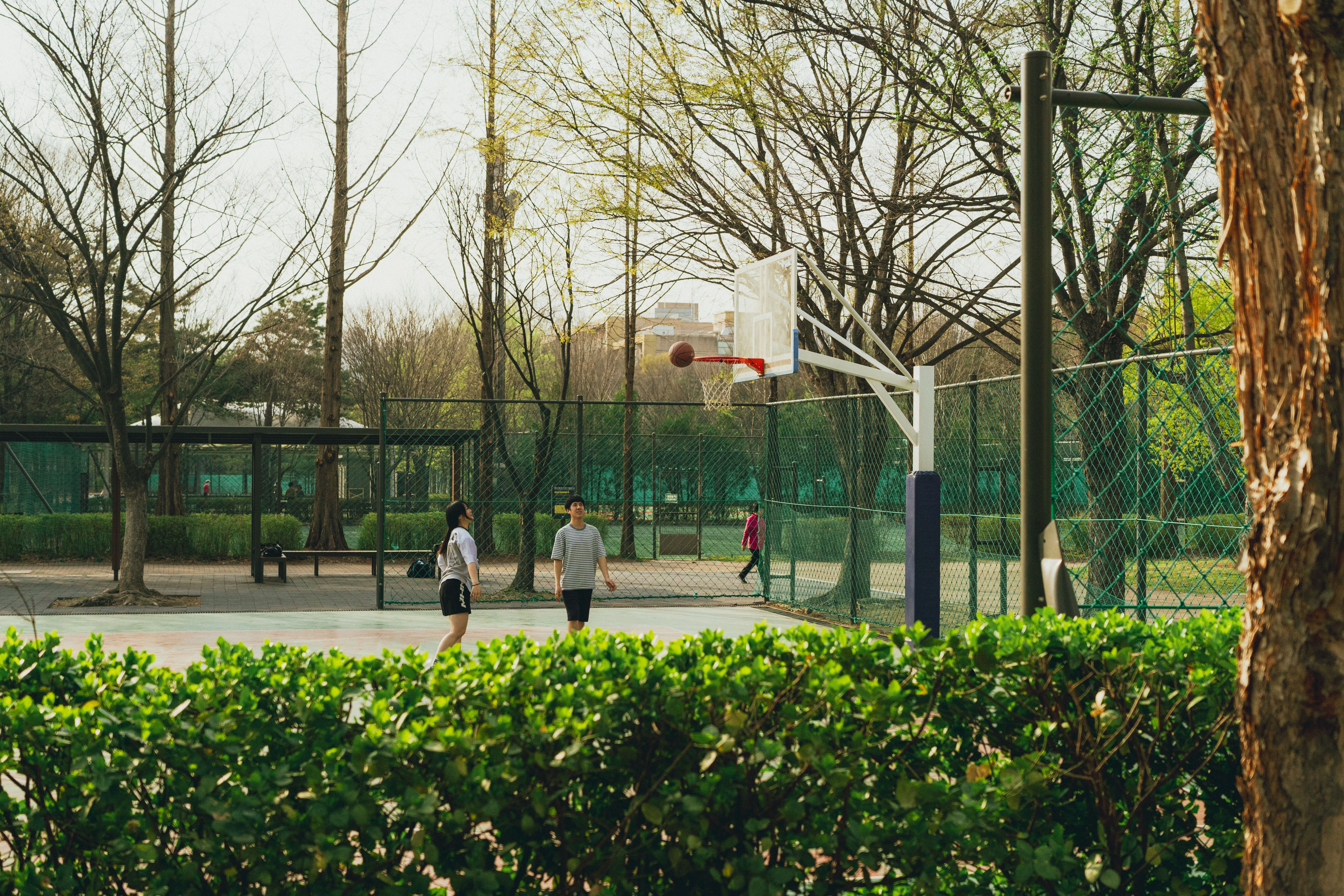 Springtime Basketball in Seoul Park · Free Stock Photo
