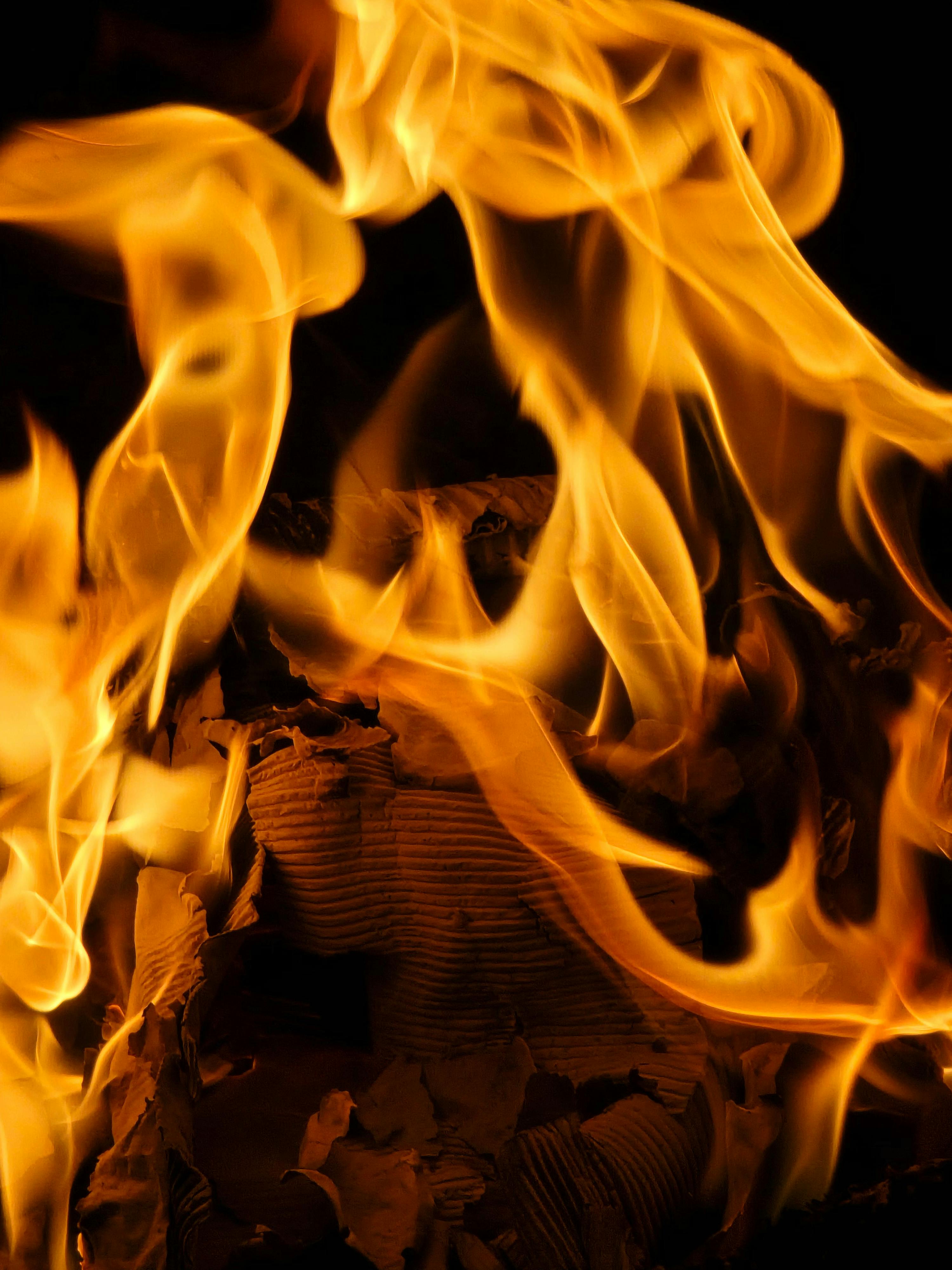 Wildfire Photos, Download The BEST Free Wildfire Stock Photos & HD Images