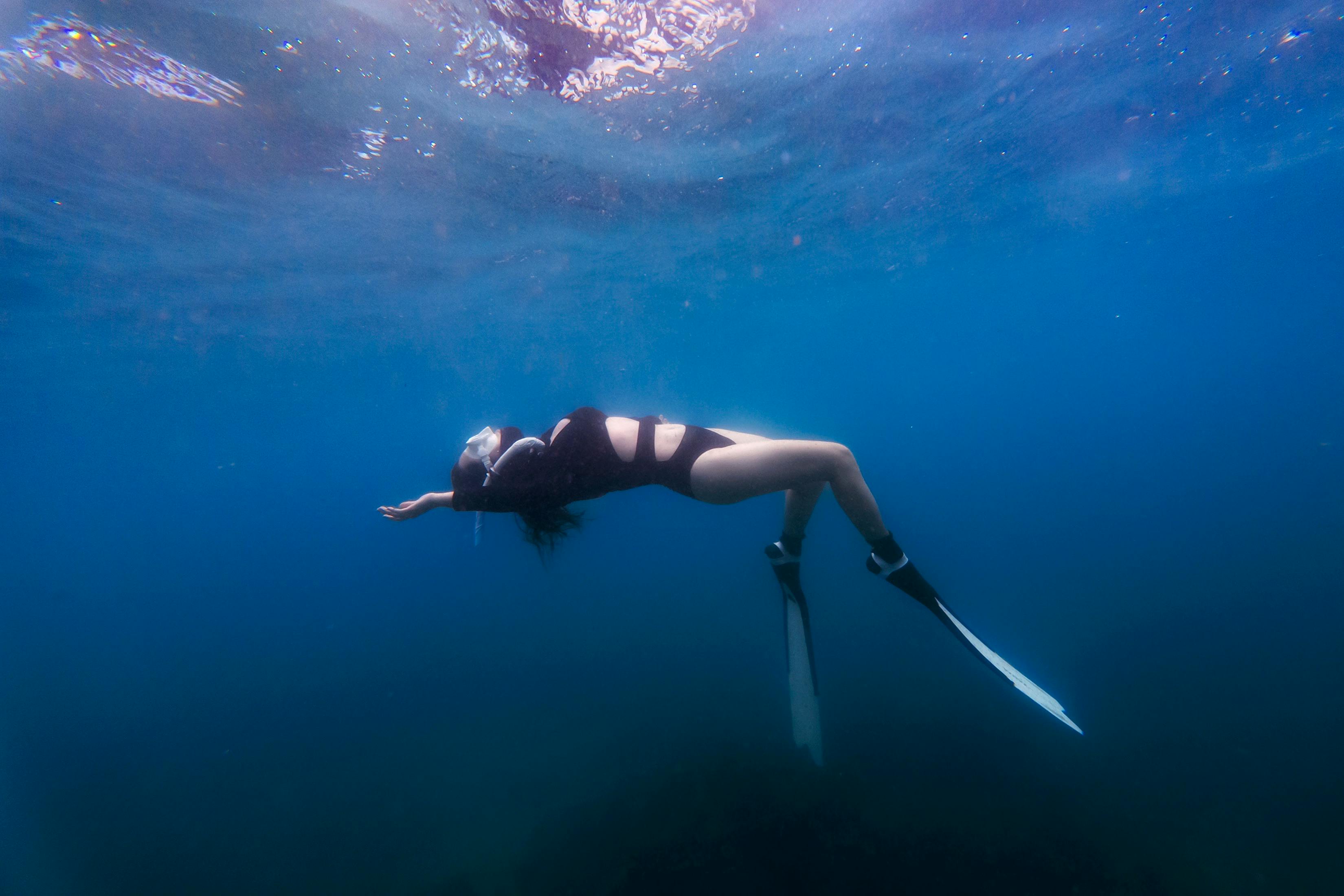 Blue Pfp Photos, Download The BEST Free Blue Pfp Stock Photos & HD Images