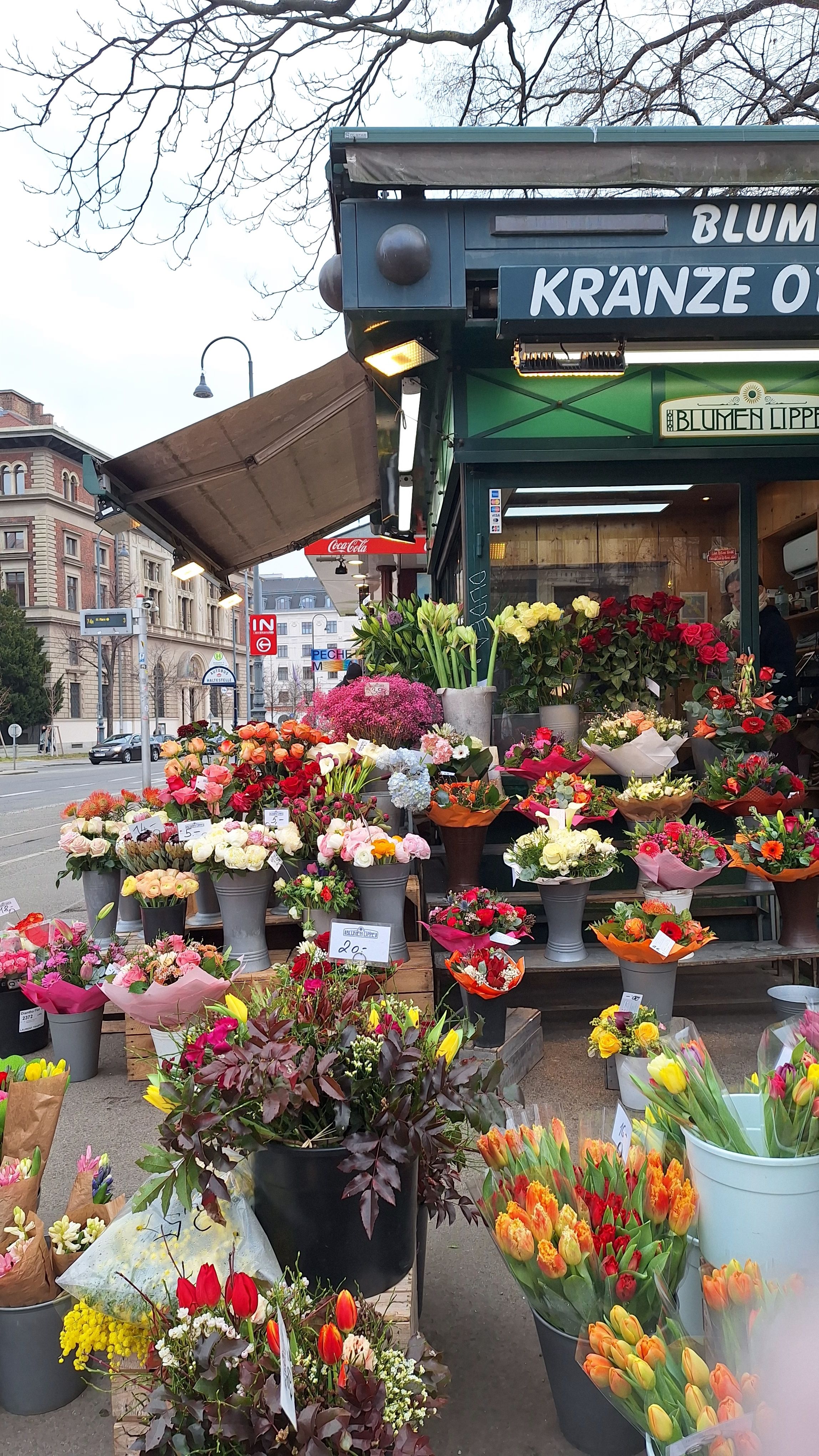 Flower Stall in Vienna's Bustling Street · Free Stock Photo