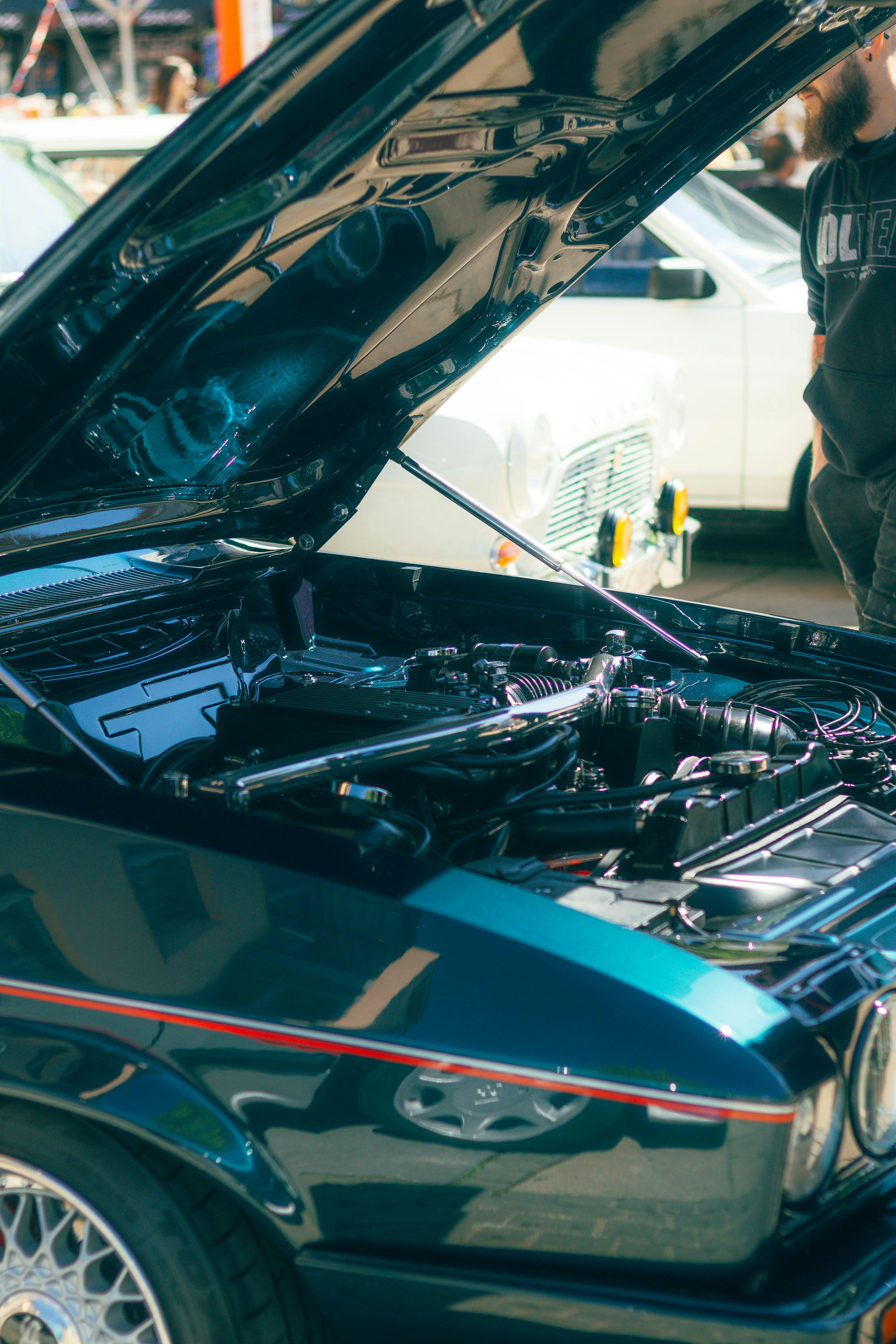 We+Are+Little+Stars+Collection Photos, Download The BEST Free We+Are ...