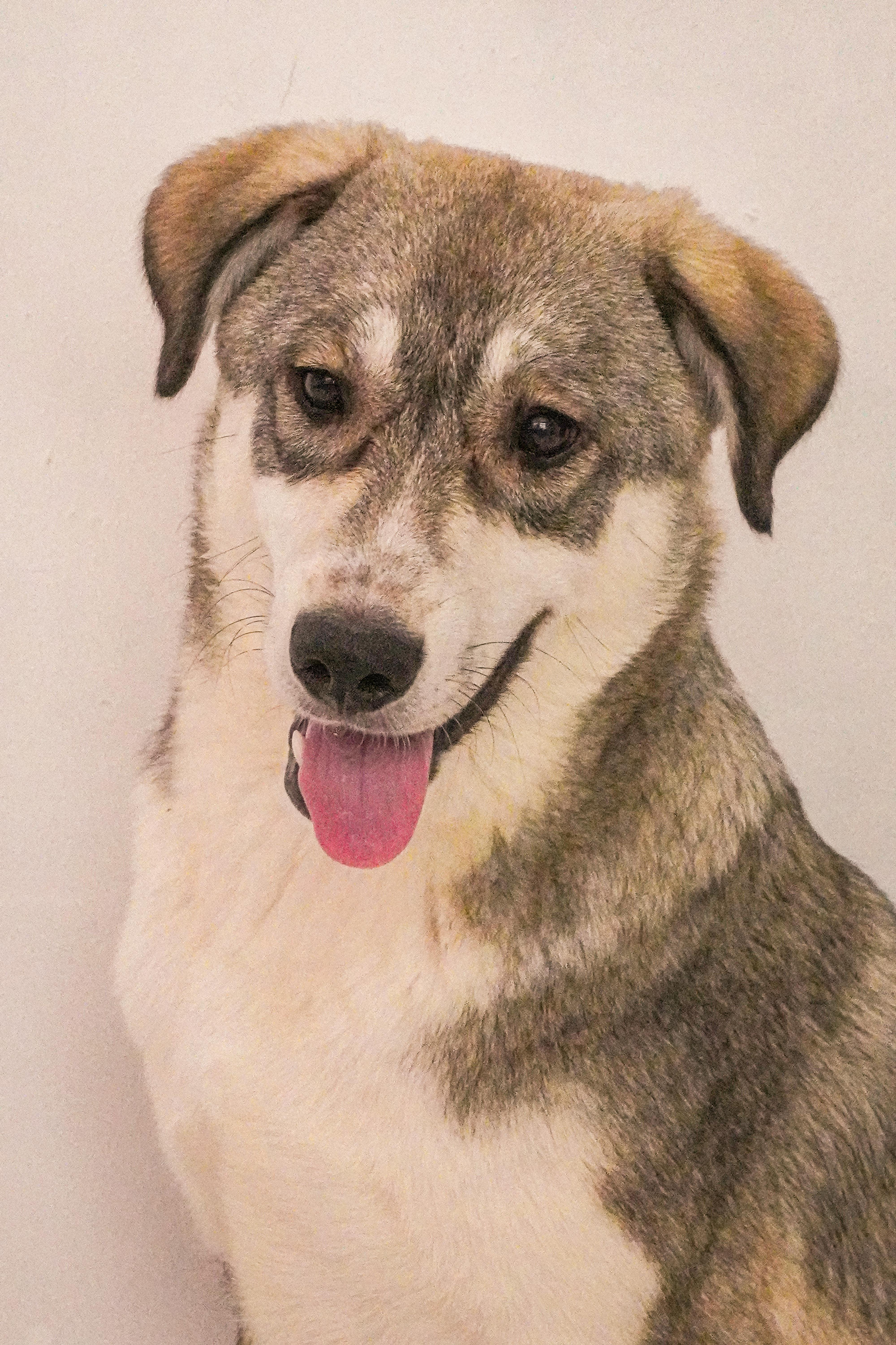 Angie+Lassman+Legs Photos, Download The BEST Free Angie+Lassman+Legs ...