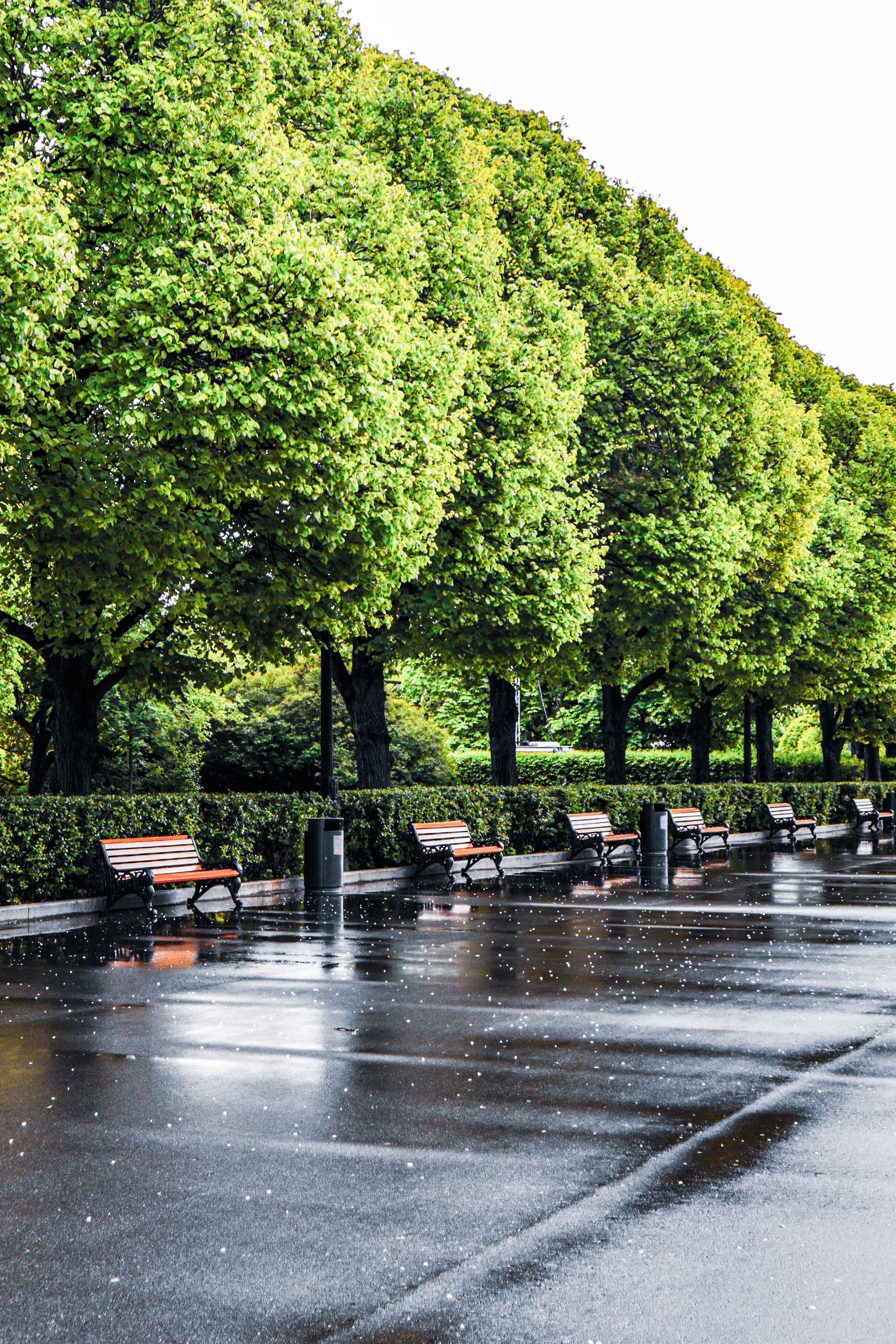 Rain In The City Photos, Download The BEST Free Rain In The City Stock ...