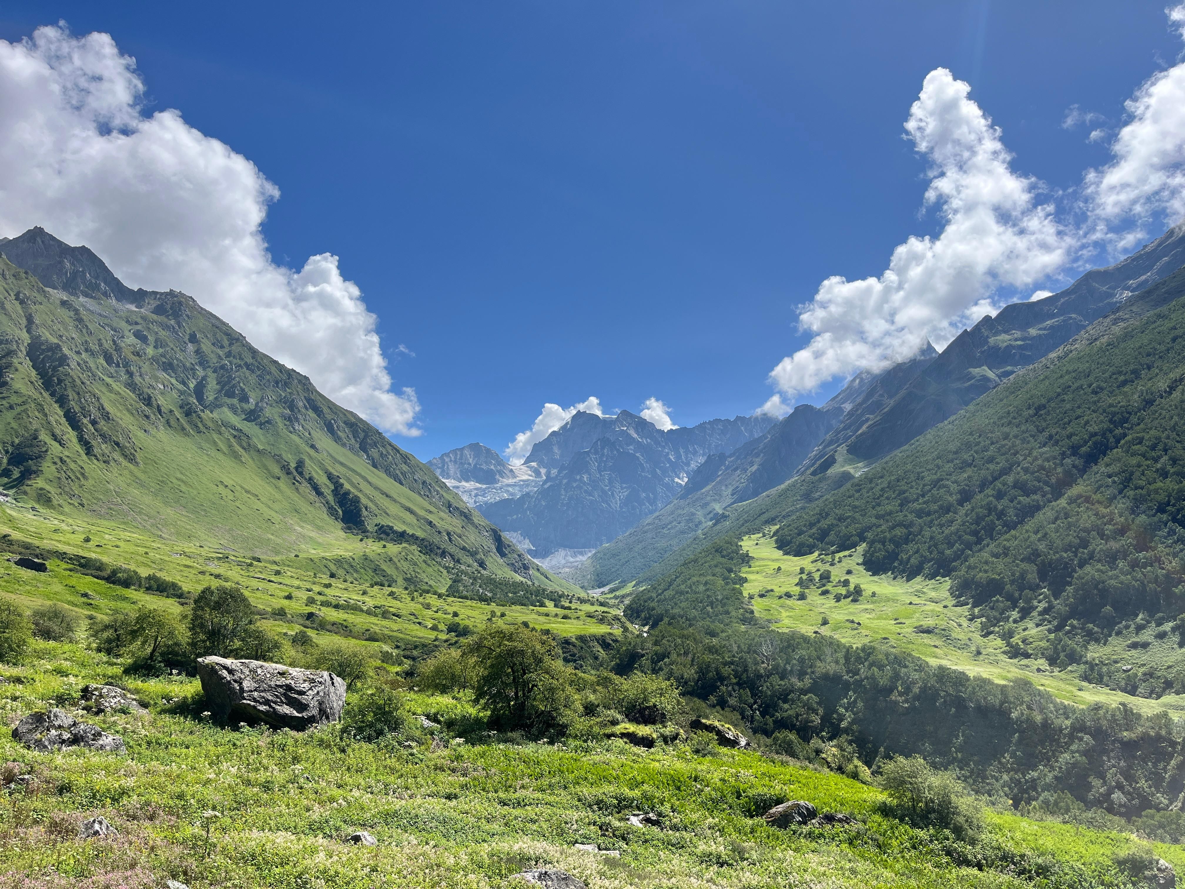 Flower Valley Photos, Download The BEST Free Flower Valley Stock Photos ...