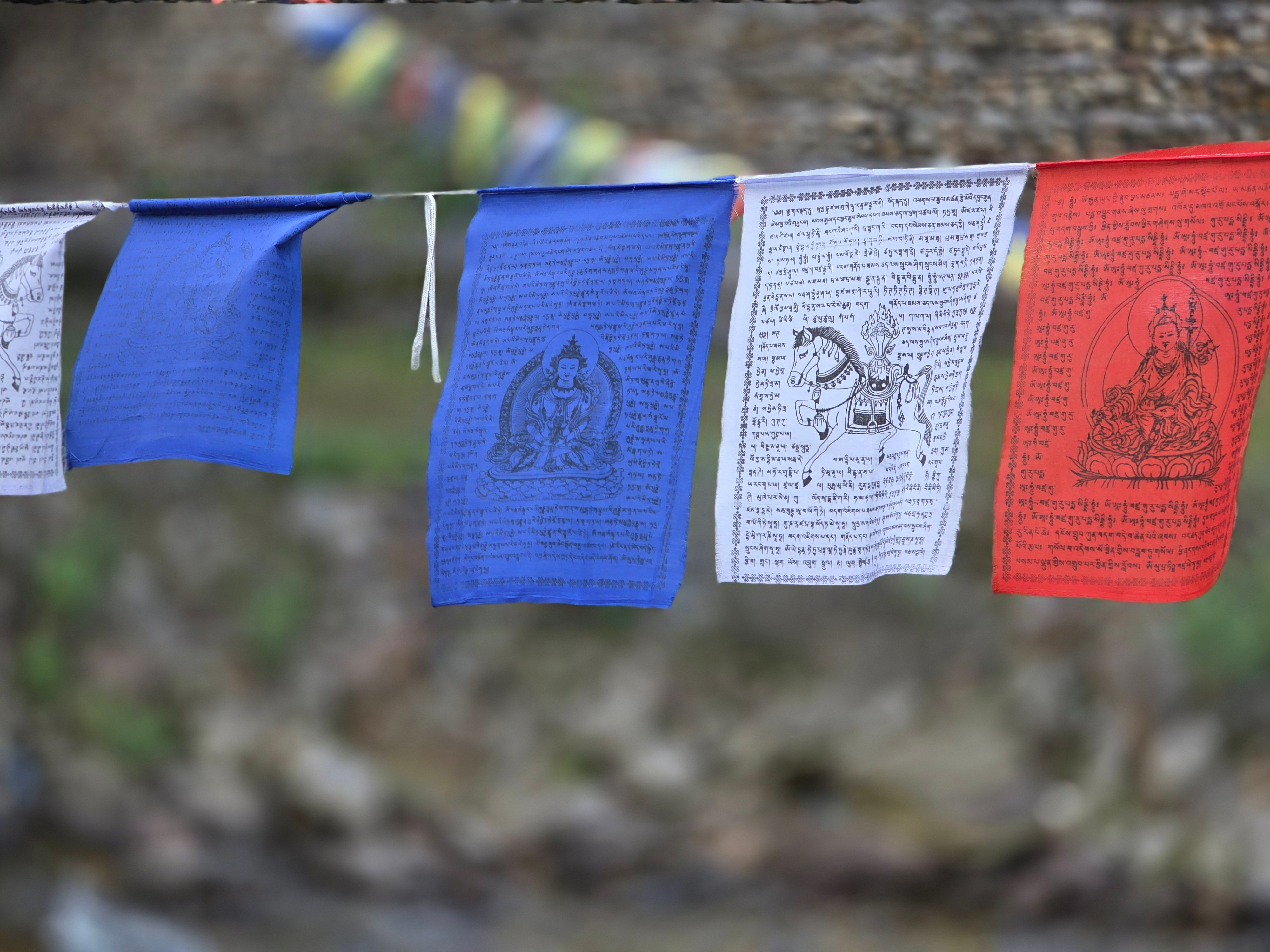 Colorful Tibetan Prayer Flags in Outdoor Setting · Free Stock Photo