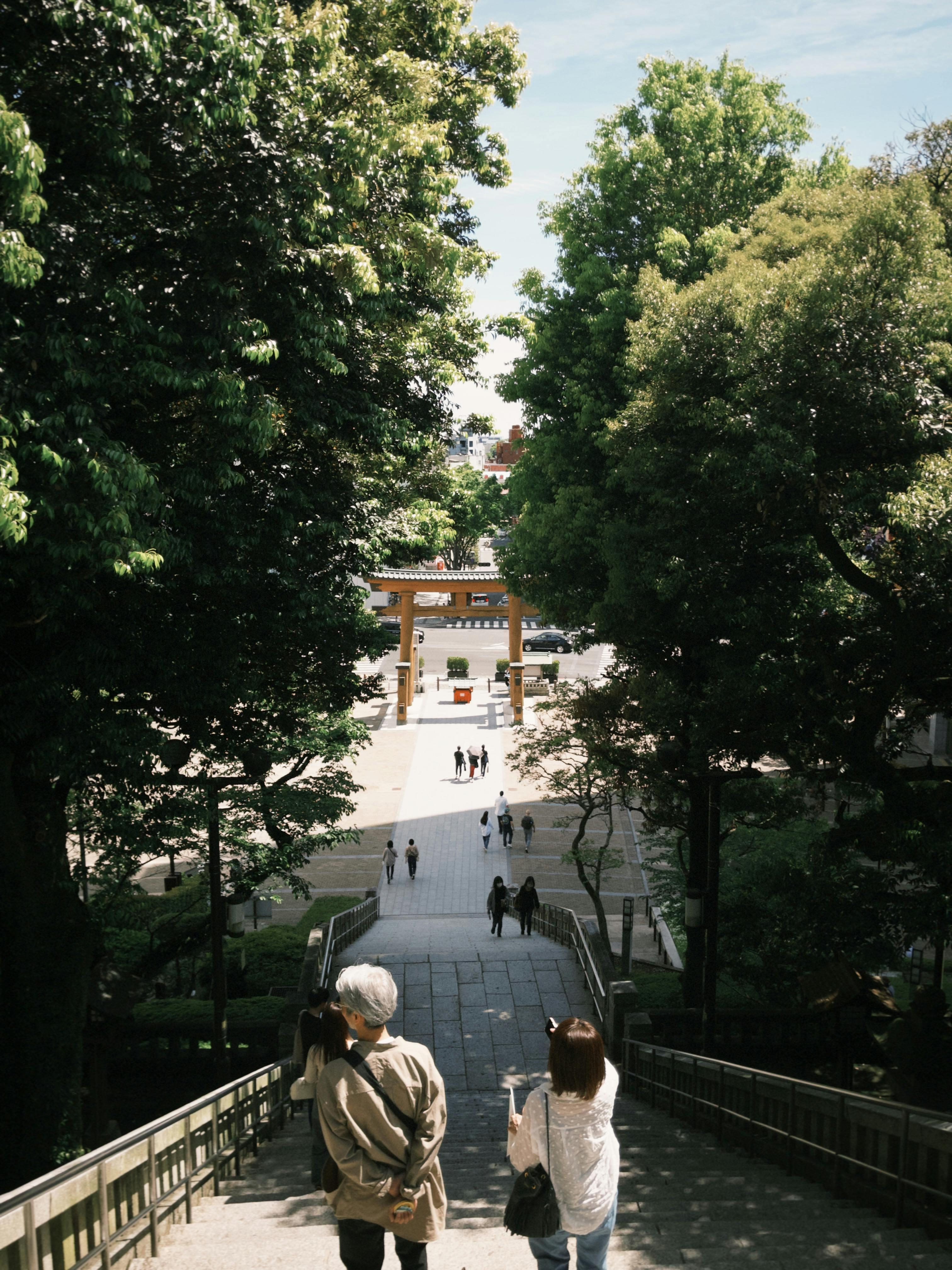 Beautiful Nature Steps Photos, Download The BEST Free Beautiful Nature ...